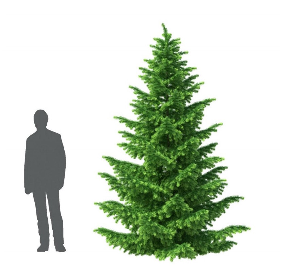 3D XfrogPlants HDTrees 5 - TurboSquid 1724825