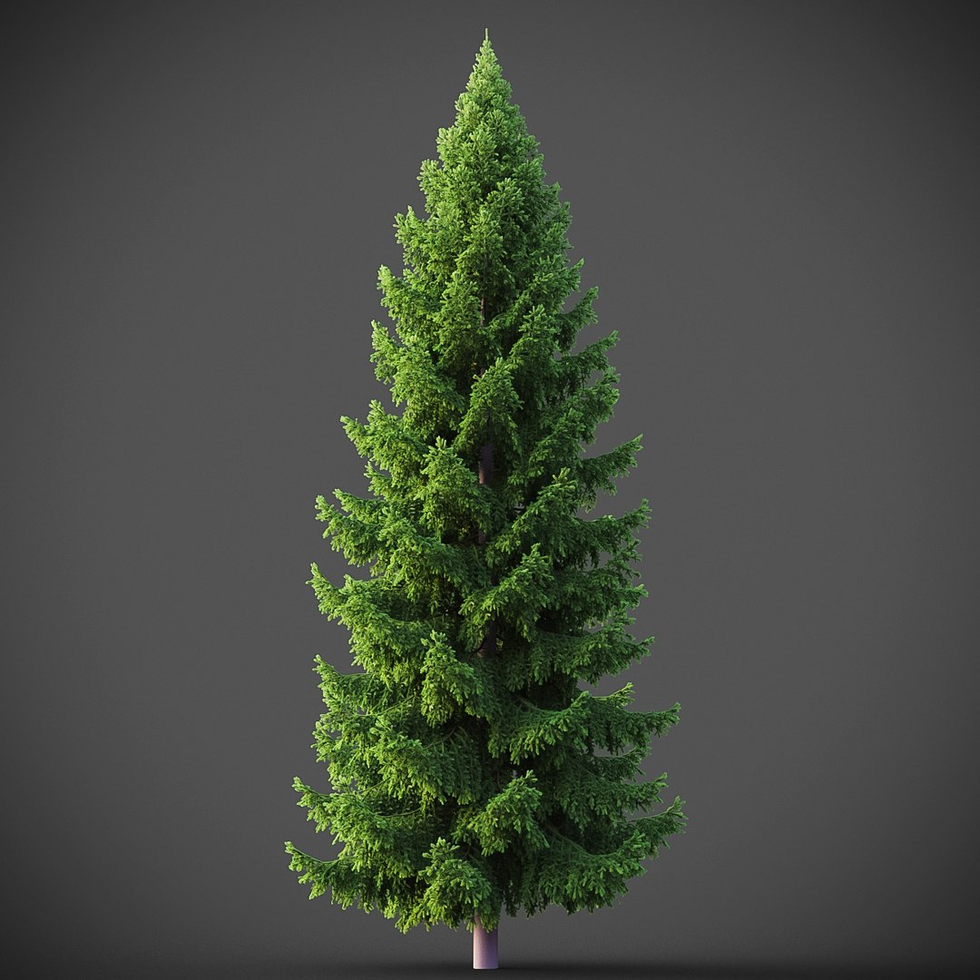 3D XfrogPlants HDTrees 5 - TurboSquid 1724825