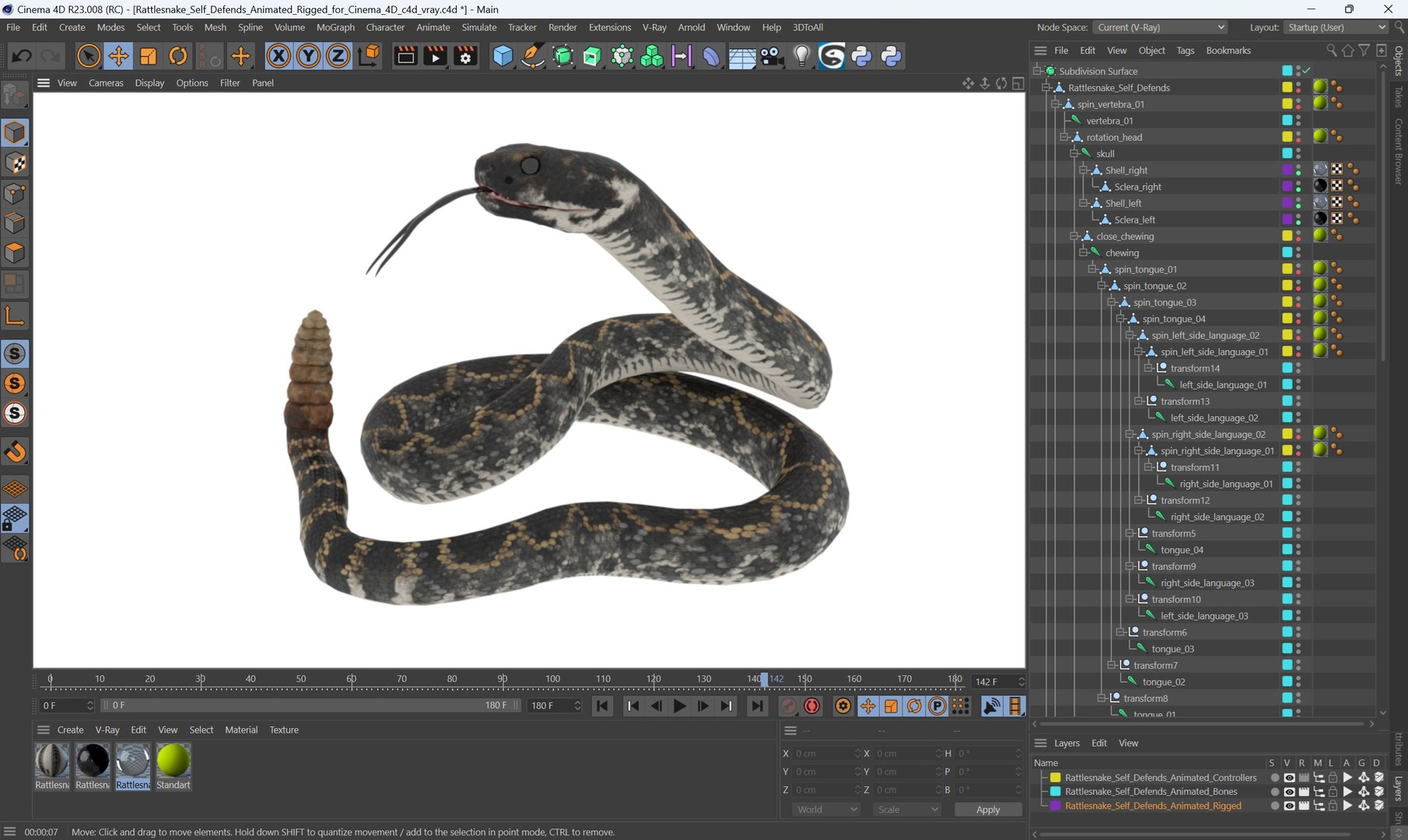 Rattlesnake Self Defends Animated Rigged For Cinema 4D 3D Model ...