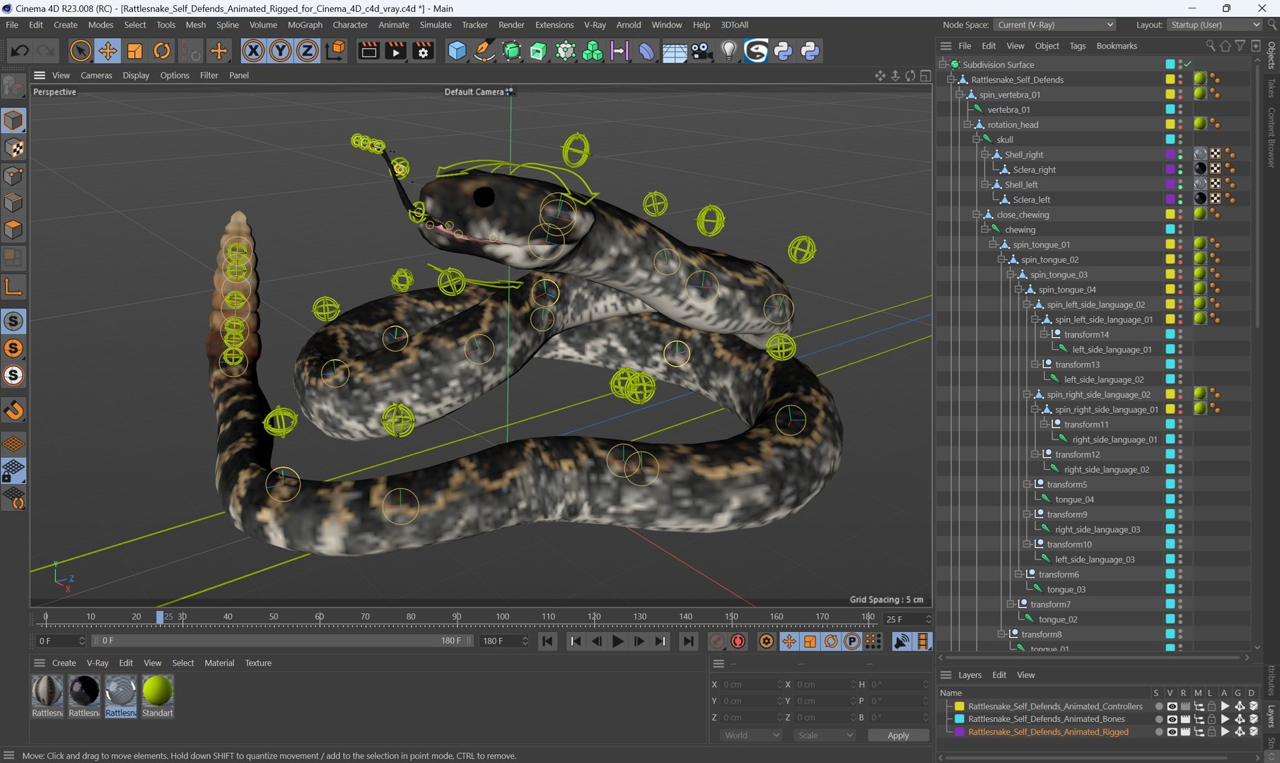 Rattlesnake Self Defends Animated Rigged For Cinema 4D 3D Model ...
