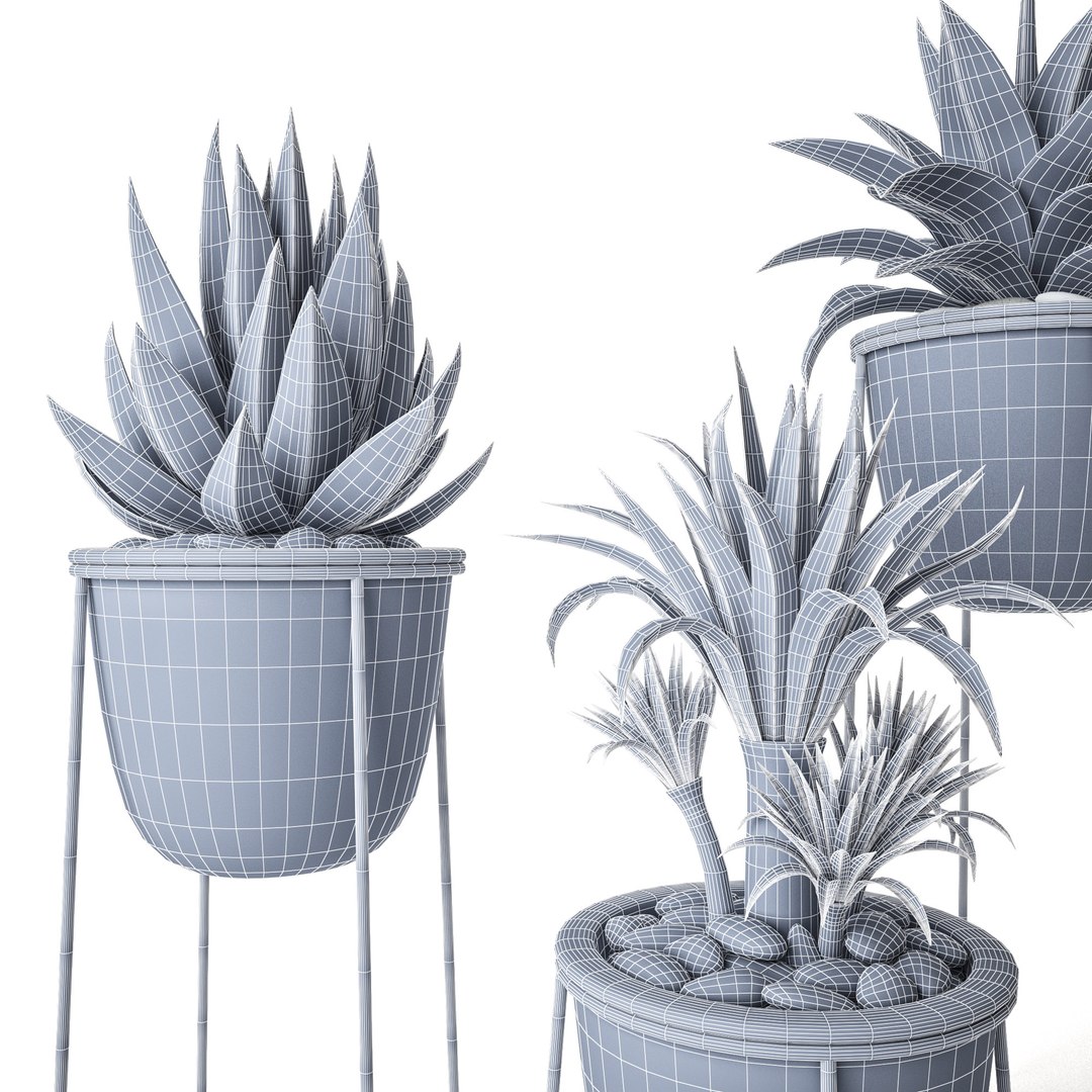 Set Agave Yucca Model - TurboSquid 1415090