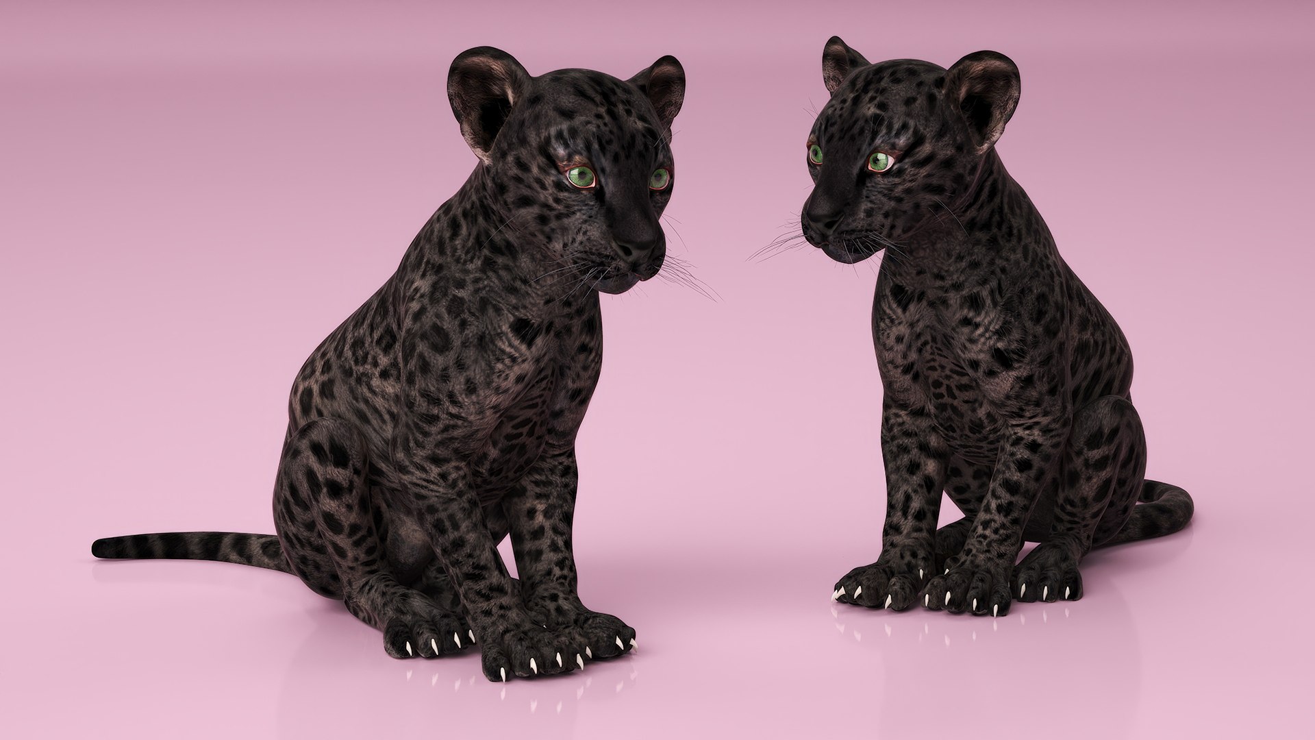 3D Black Leopard Cub Rigged Model - TurboSquid 2347092