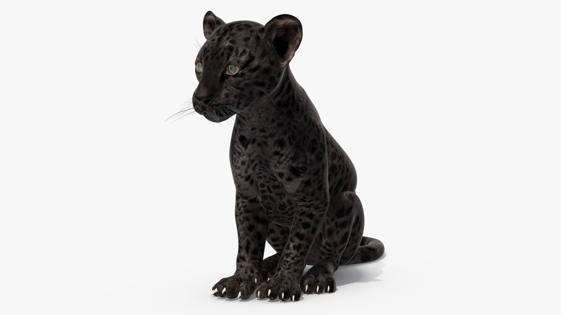 3D Black Leopard Cub Rigged Model - TurboSquid 2347092