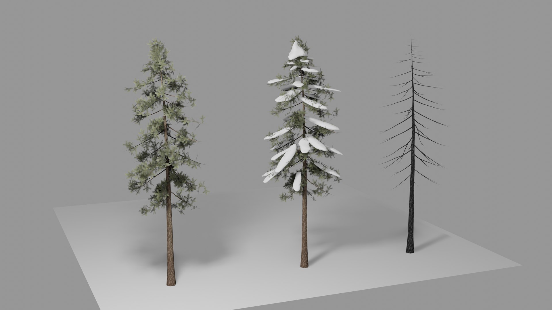 Trees Unity File Nature 3D Model - TurboSquid 1582321