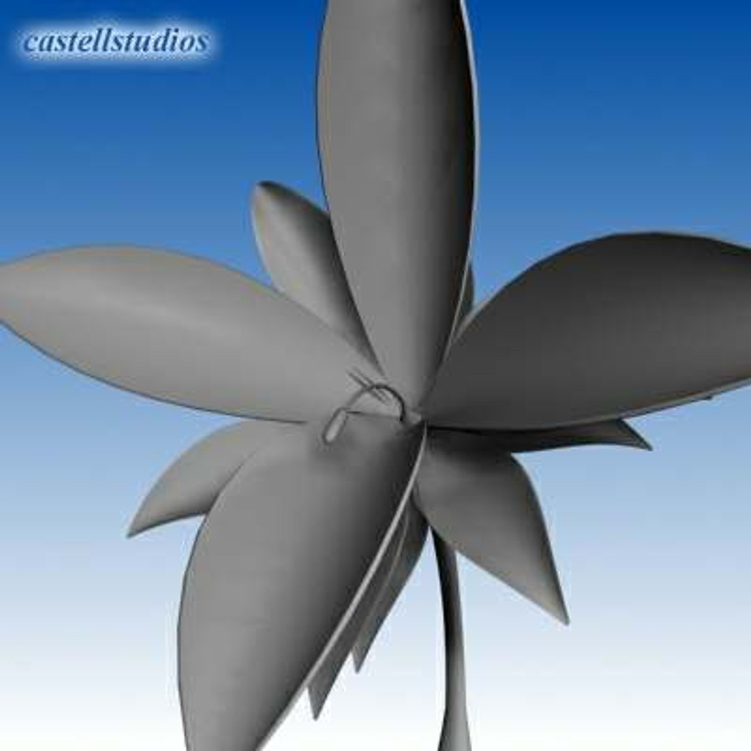 3d Model Realistic Flower Animation Open