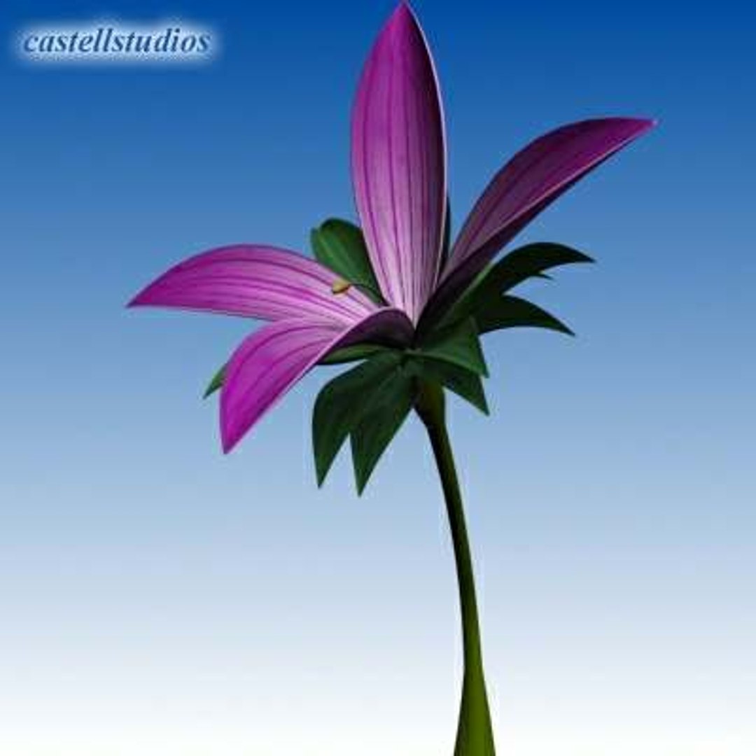 3d Model Realistic Flower Animation Open