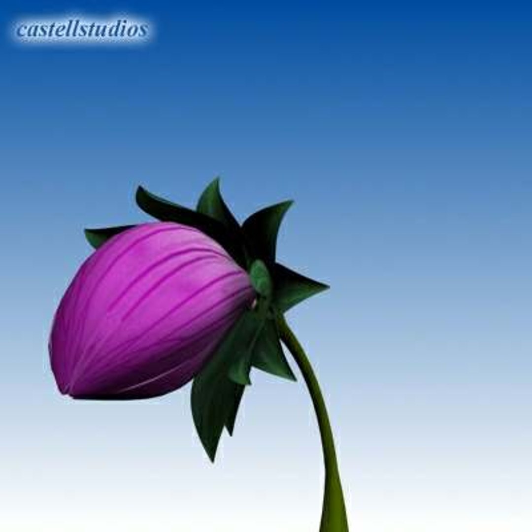 3d Model Realistic Flower Animation Open