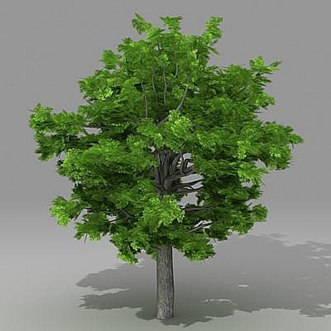 Trees 3d Max