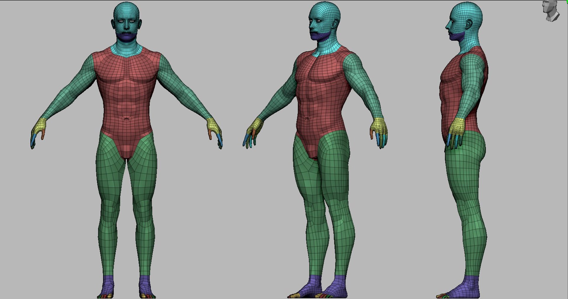 Realistic Athletic Human Body Base Mesh Model - TurboSquid 2348386
