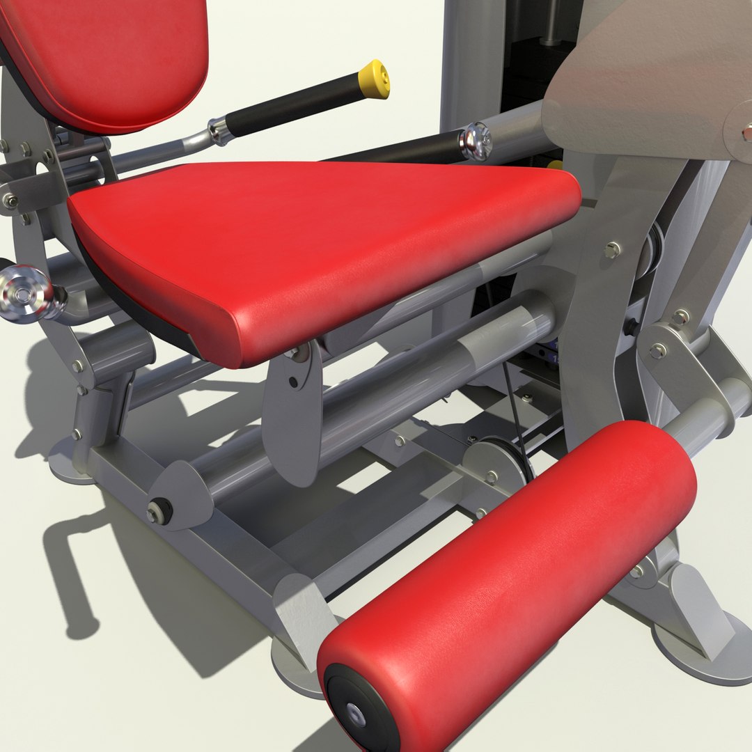 Leg Extension 3d Model