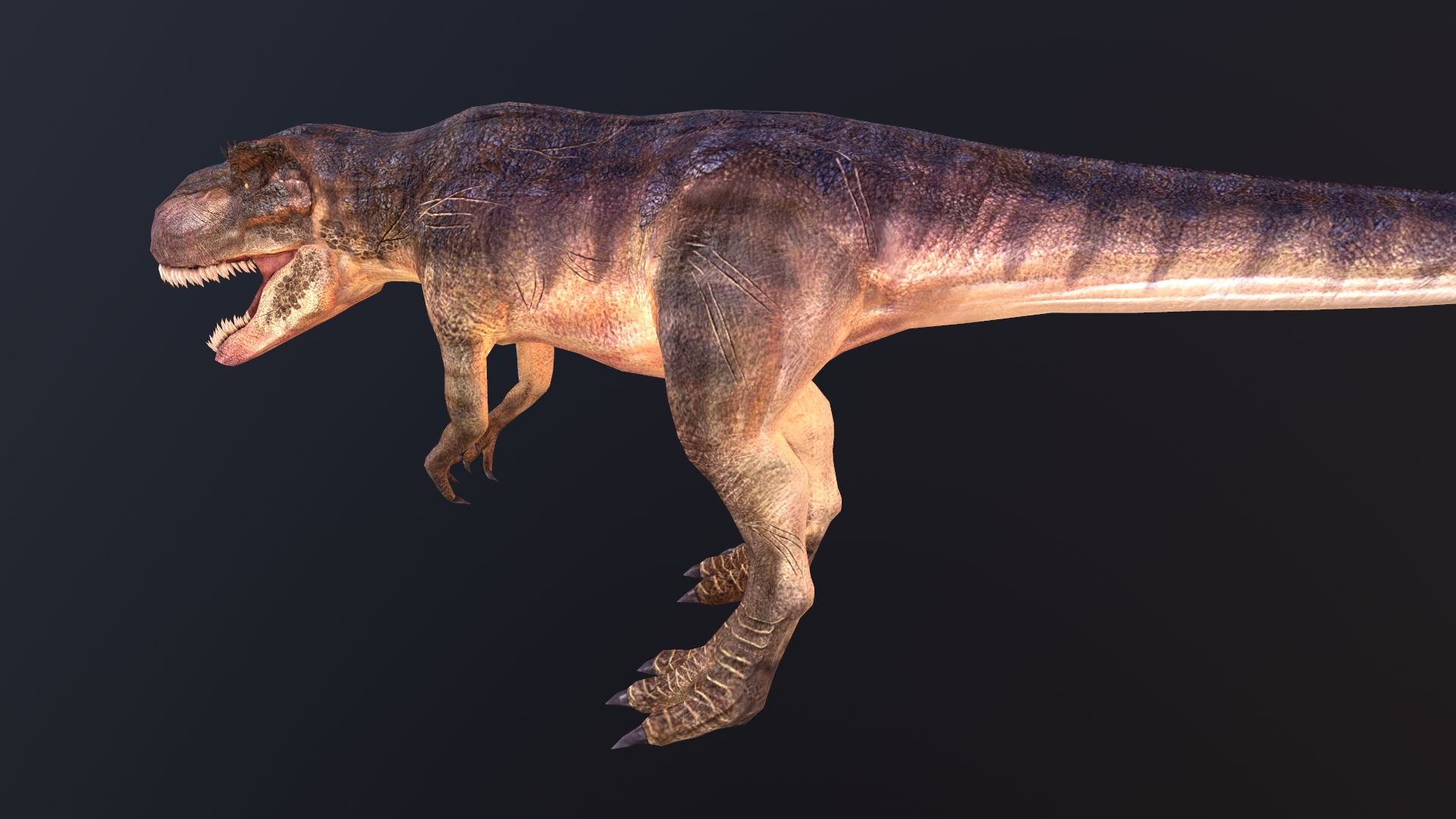3D Carnivore Predator Model - TurboSquid 1391119