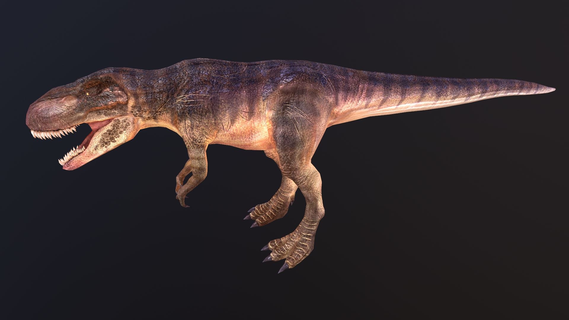 3D Carnivore Predator Model - TurboSquid 1391119