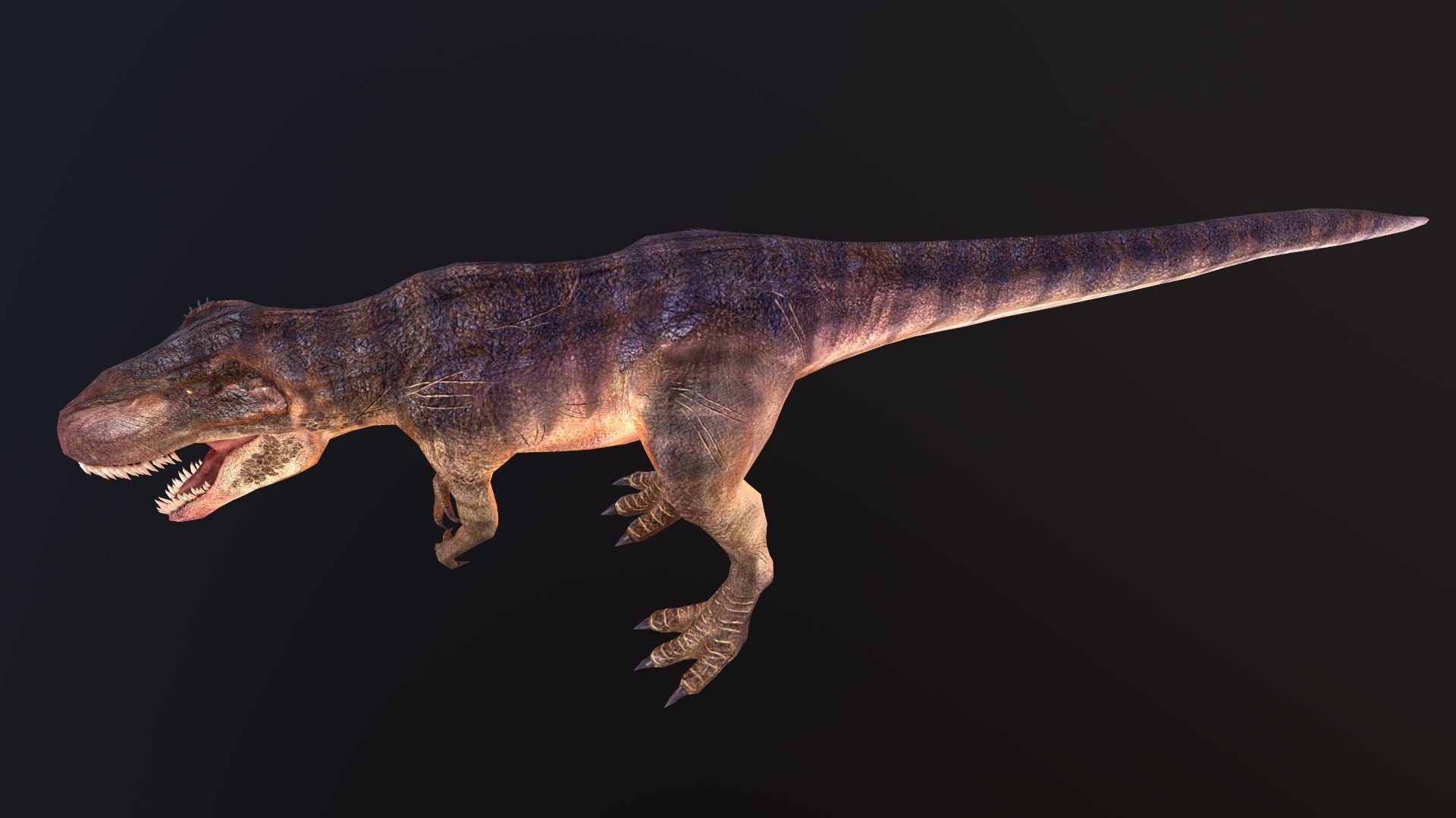 3D Carnivore Predator Model - TurboSquid 1391119