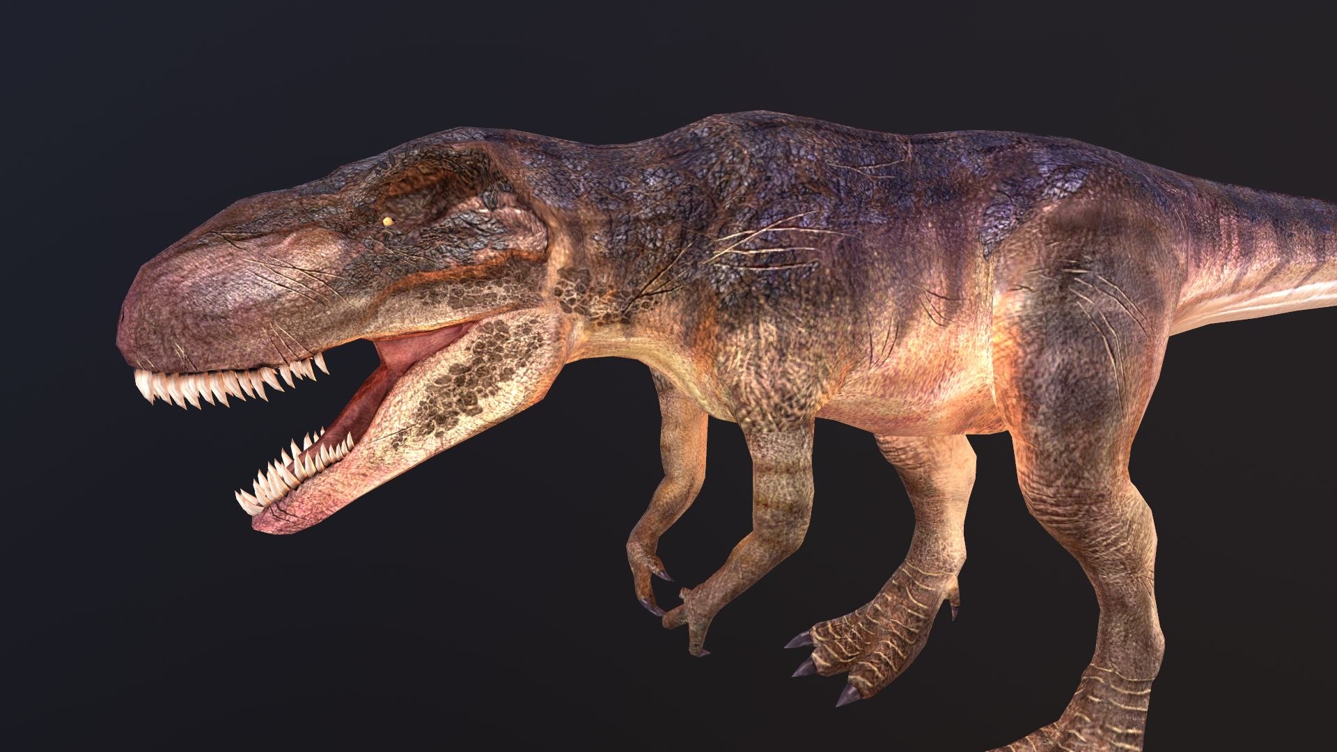 3D Carnivore Predator Model - TurboSquid 1391119