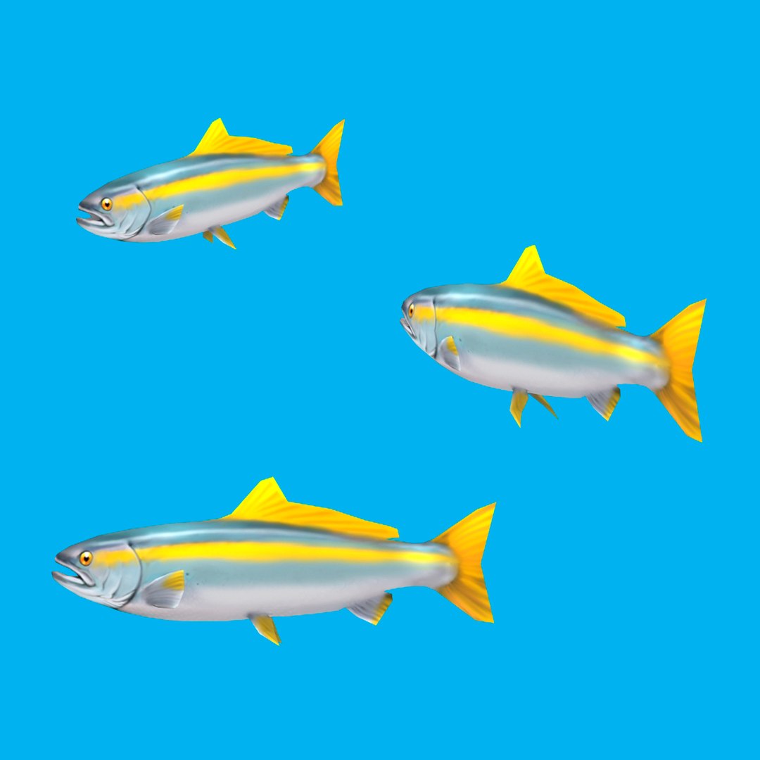 3d cartoon fish pack