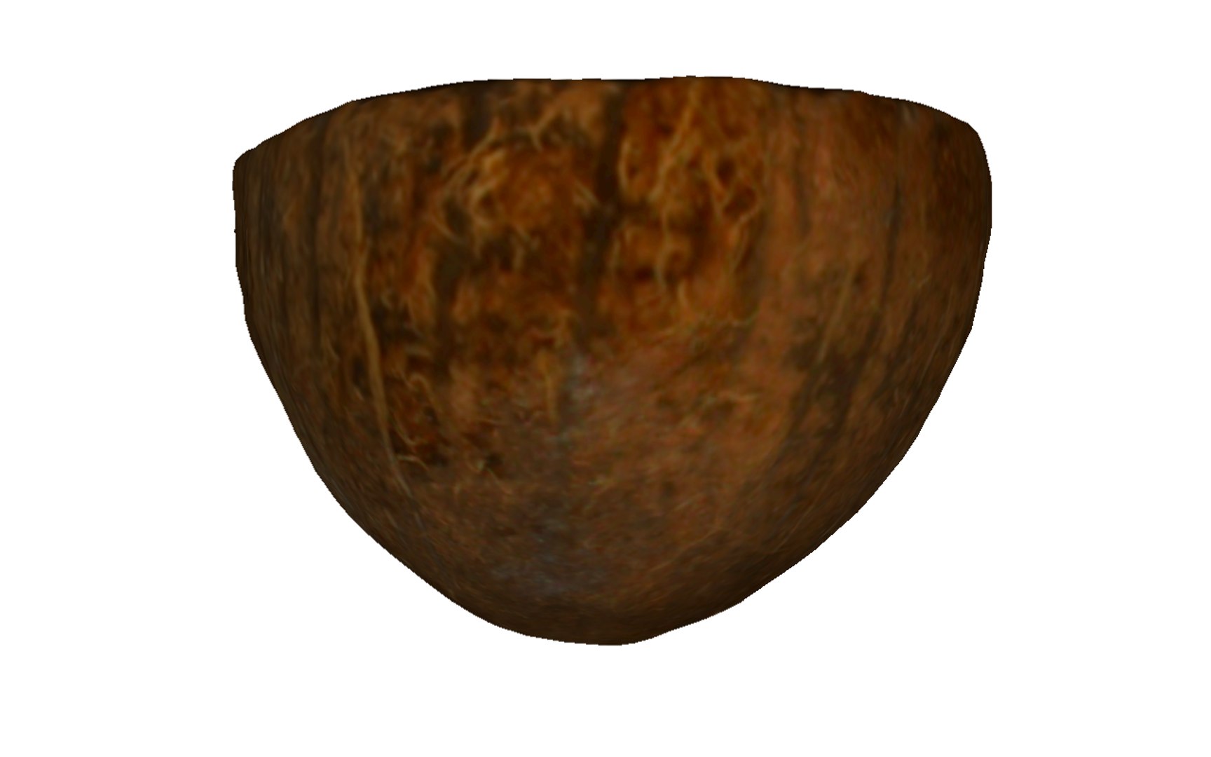 3D Half Coconut - TurboSquid 1604100