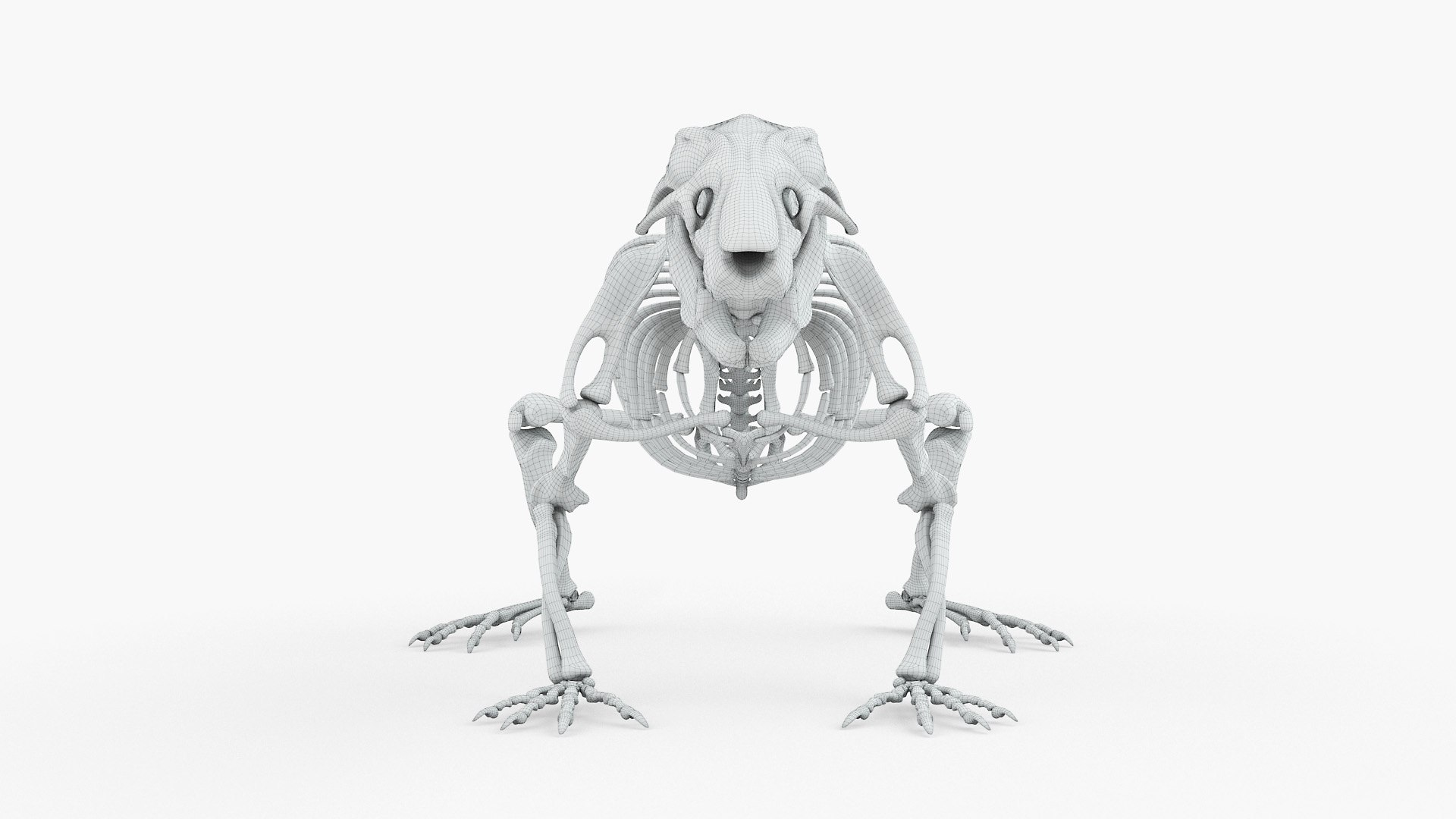 Rat Body Skeleton and Organs Static 3D model - TurboSquid 1892122