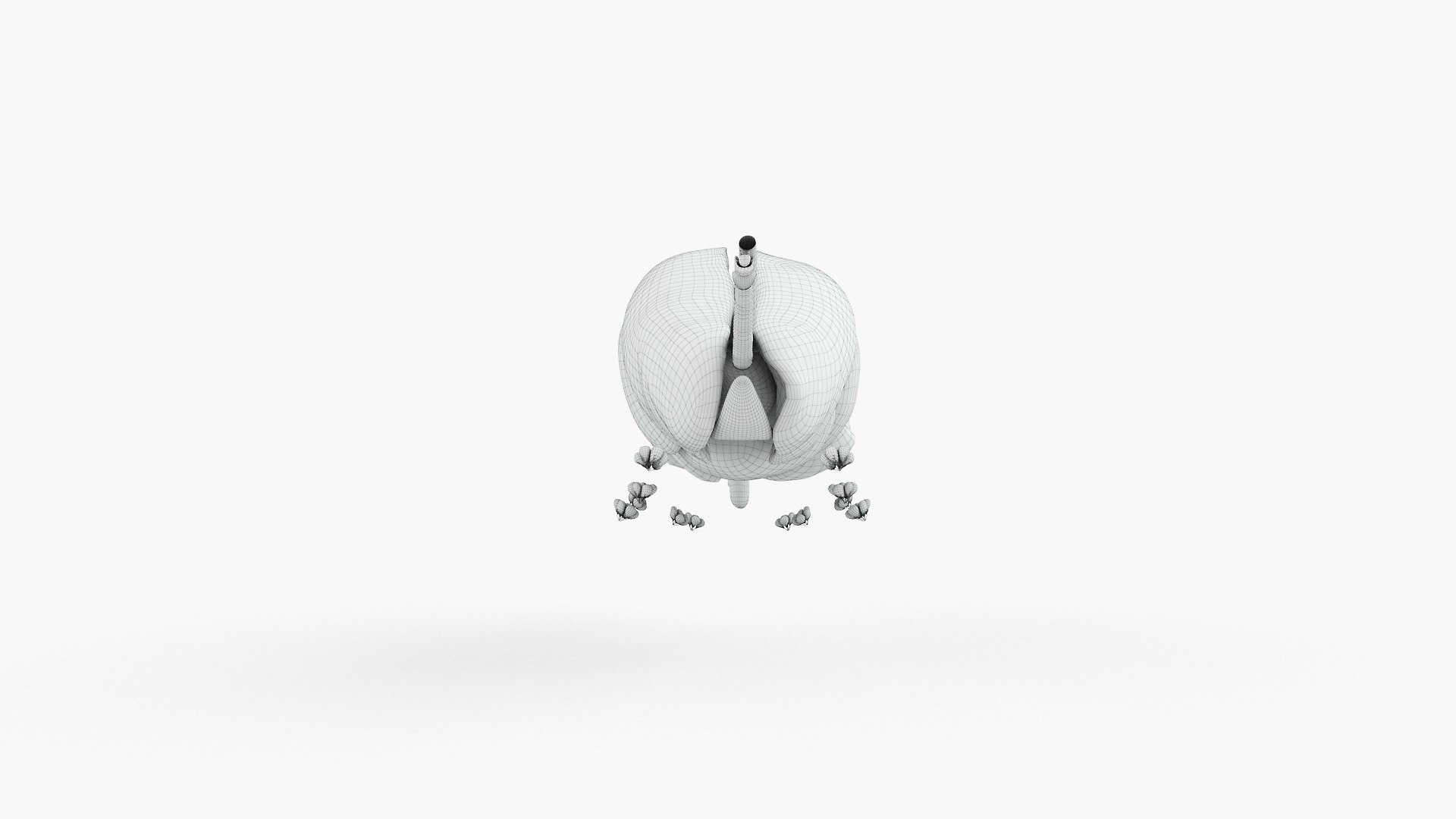 Rat Body Skeleton and Organs Static 3D model - TurboSquid 1892122