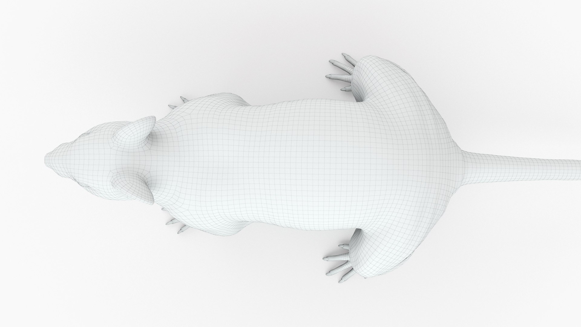 Rat Body Skeleton and Organs Static 3D model - TurboSquid 1892122