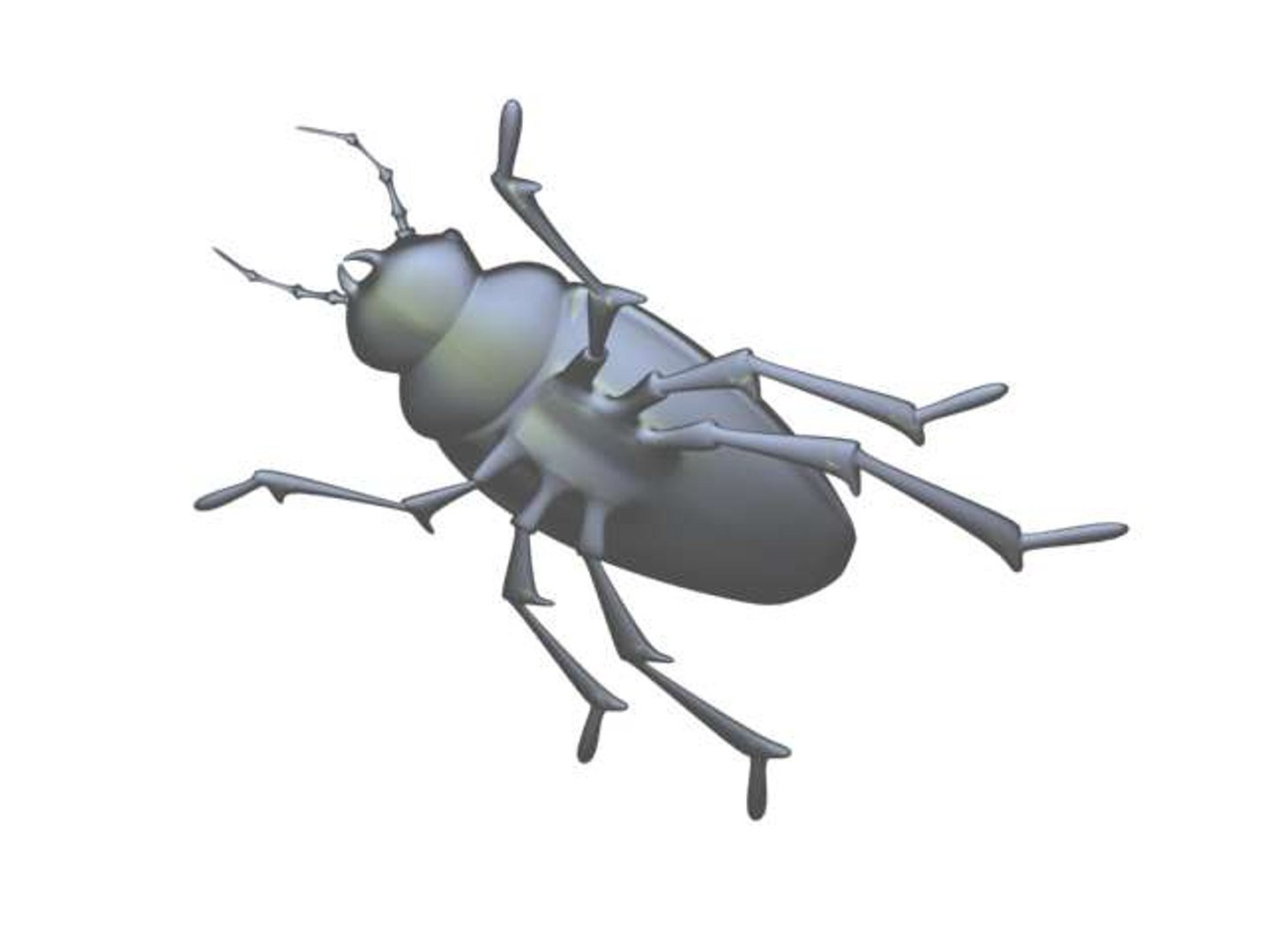 Max Beetle