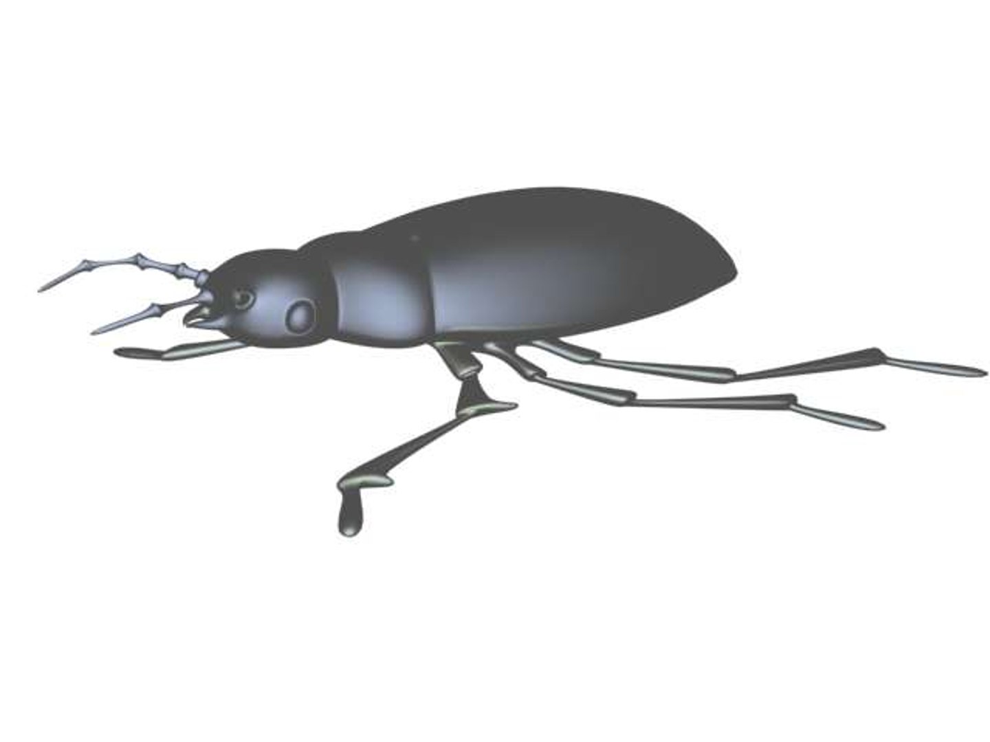 Max Beetle