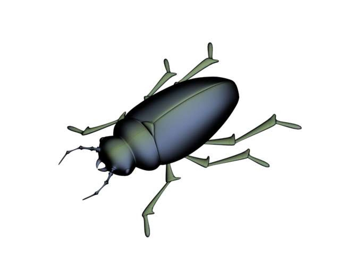 Max Beetle