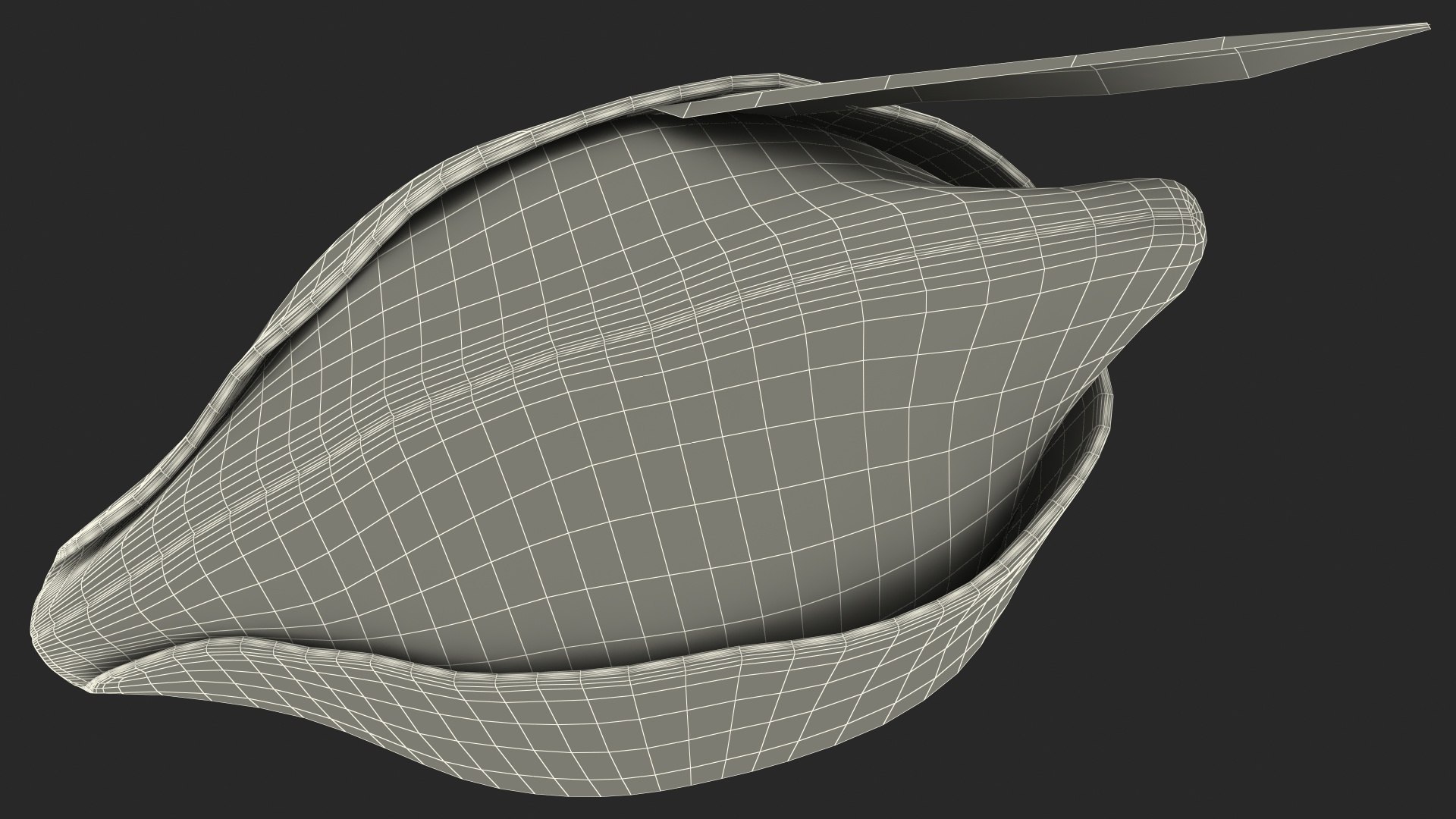 Robin Hood Cap Feather Model - TurboSquid 1587306