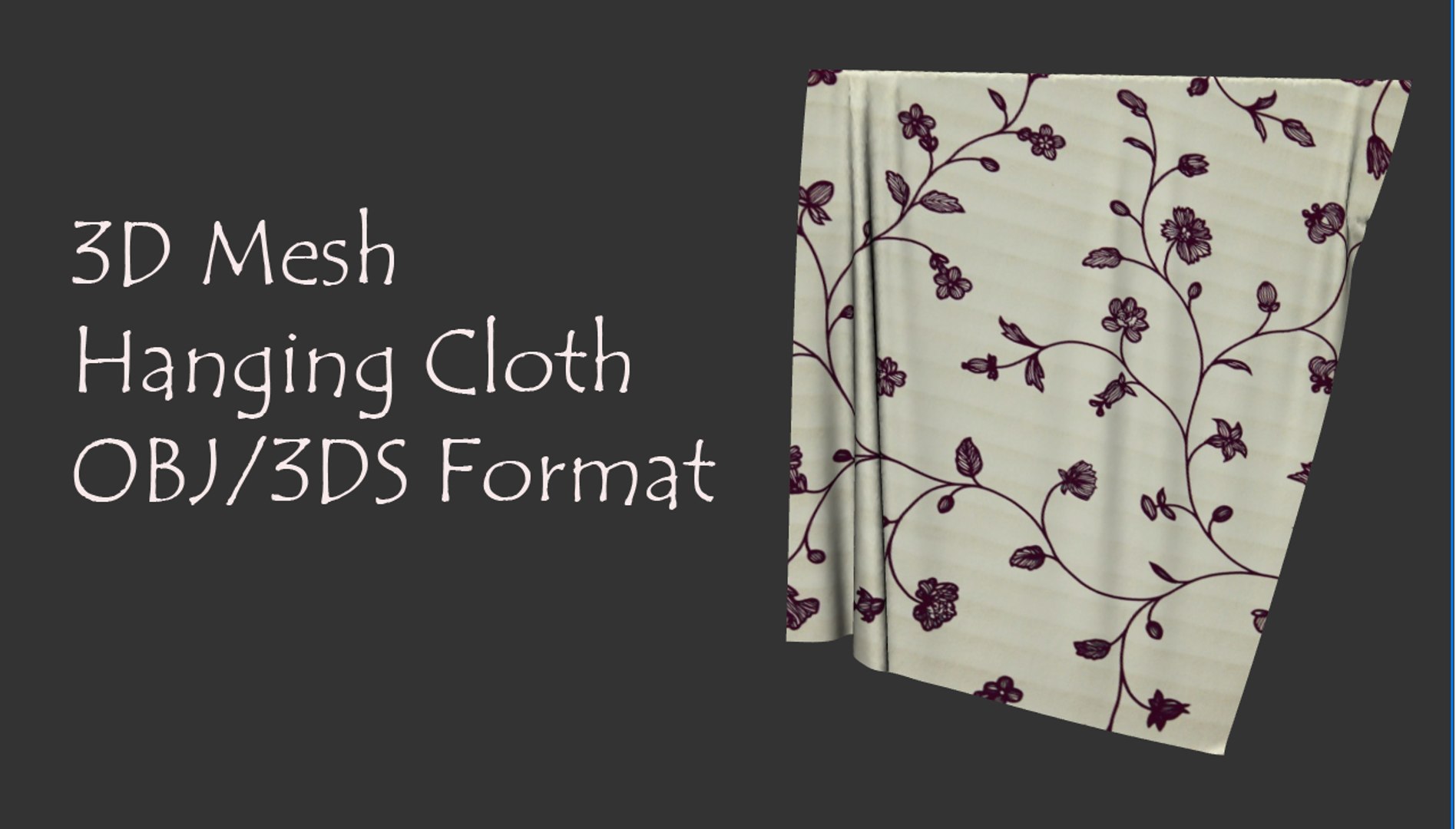 Hanging Cloth Model
