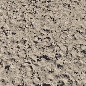 Ultra Realistic Beach Sand Geometry 3D Model - TurboSquid 1758506