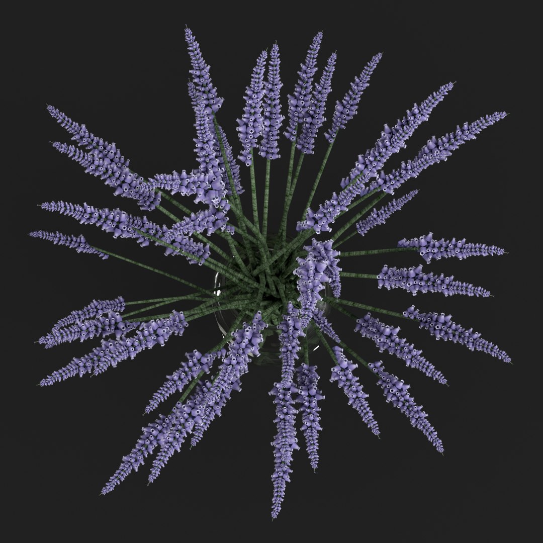 Bouquet Lavender 3D Model - TurboSquid 1642110