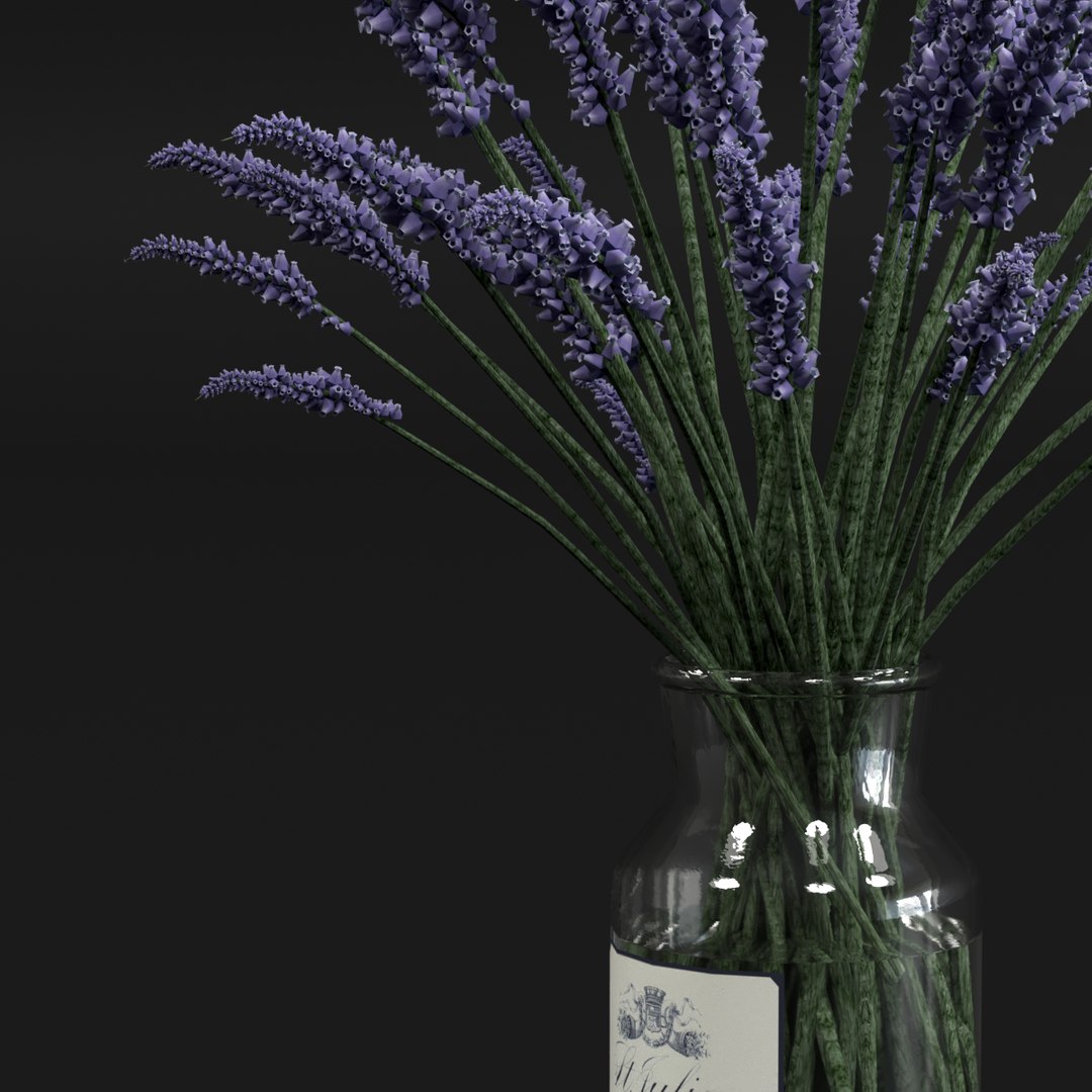 Bouquet Lavender 3D Model - TurboSquid 1642110