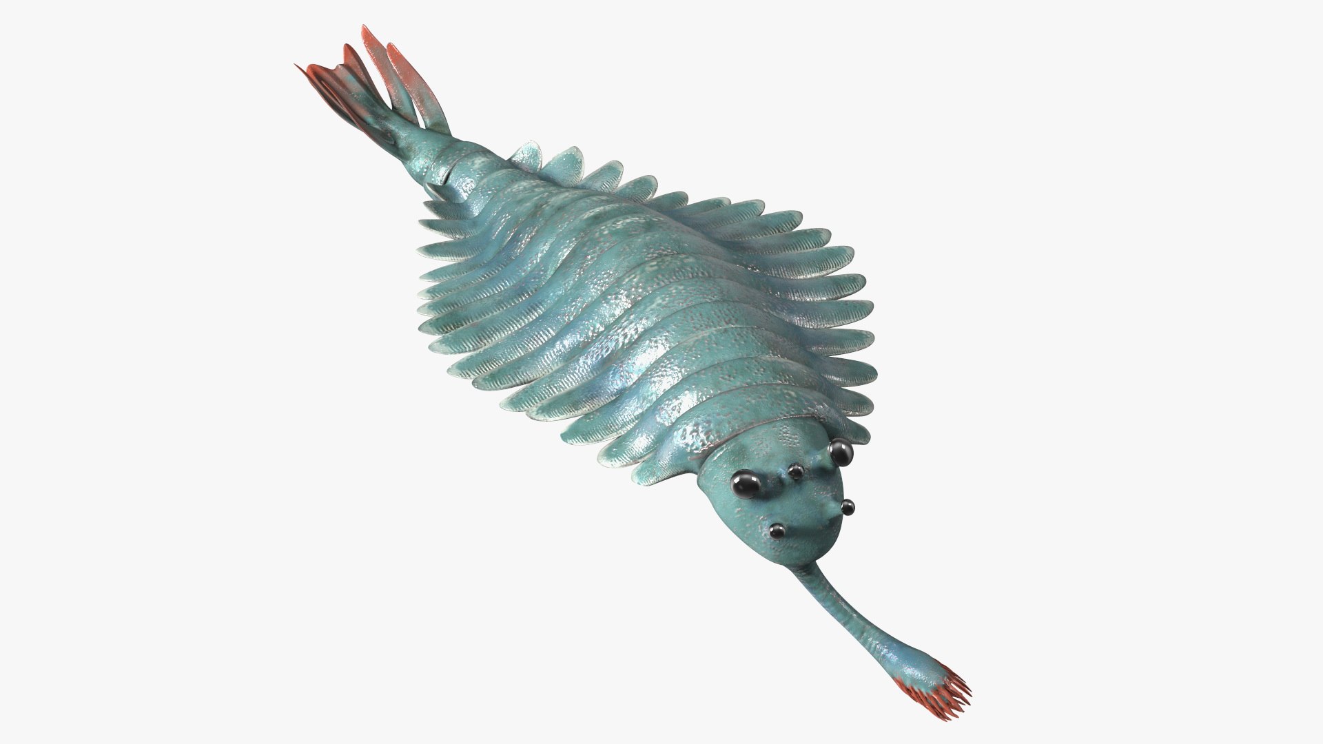 Green Opabinia Swimming 3D - TurboSquid 2178506