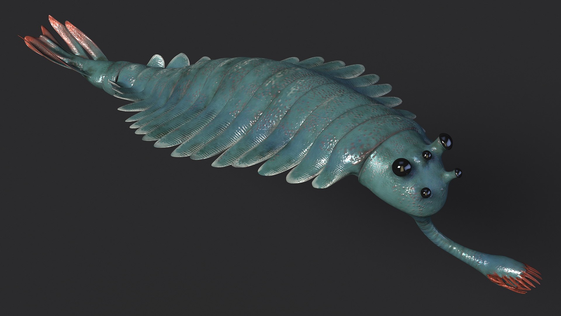 Green Opabinia Swimming 3D - TurboSquid 2178506
