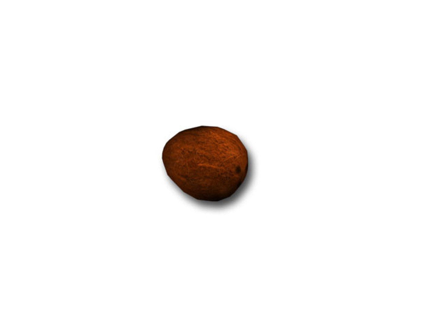 Coco Nut 3d Model