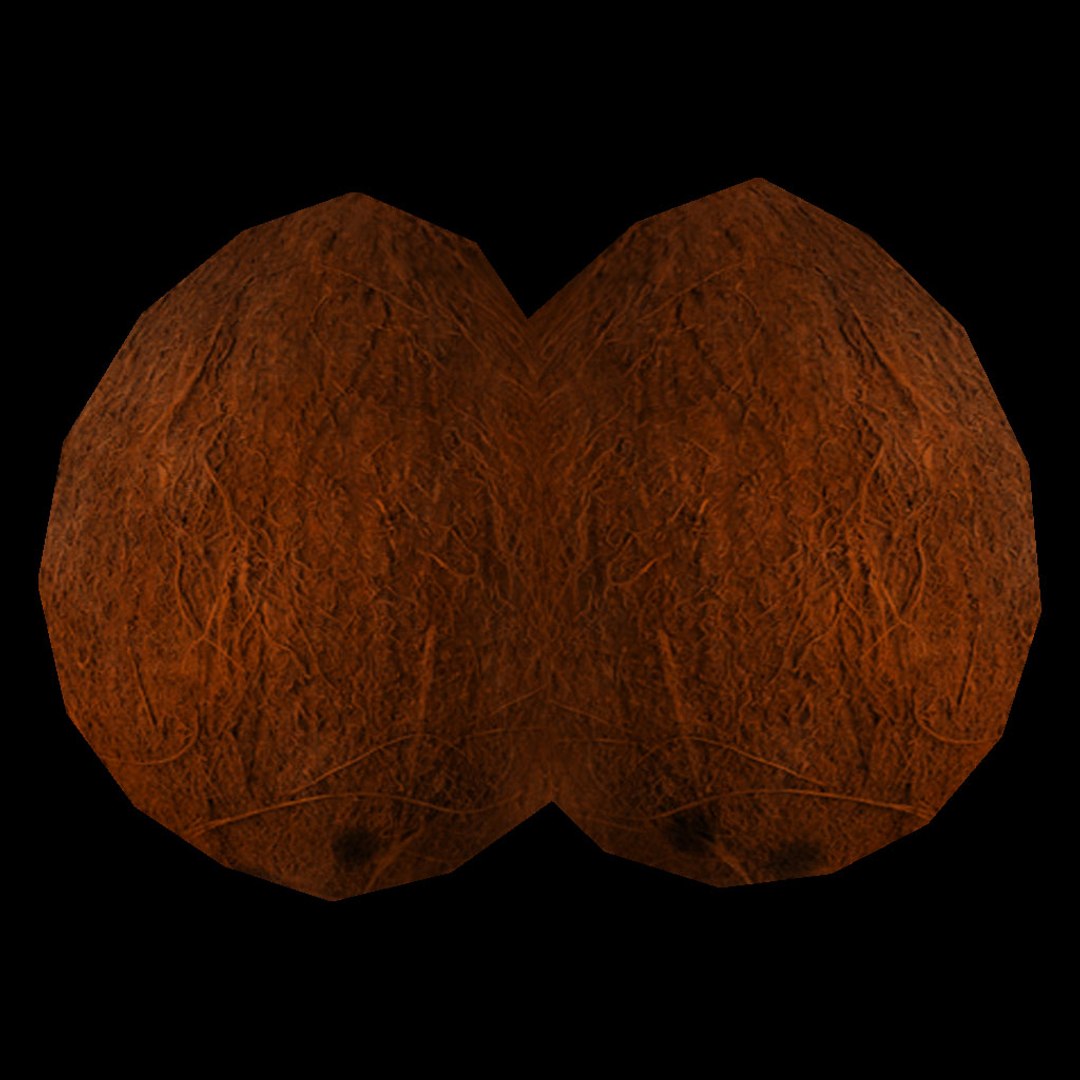 Coco Nut 3d Model