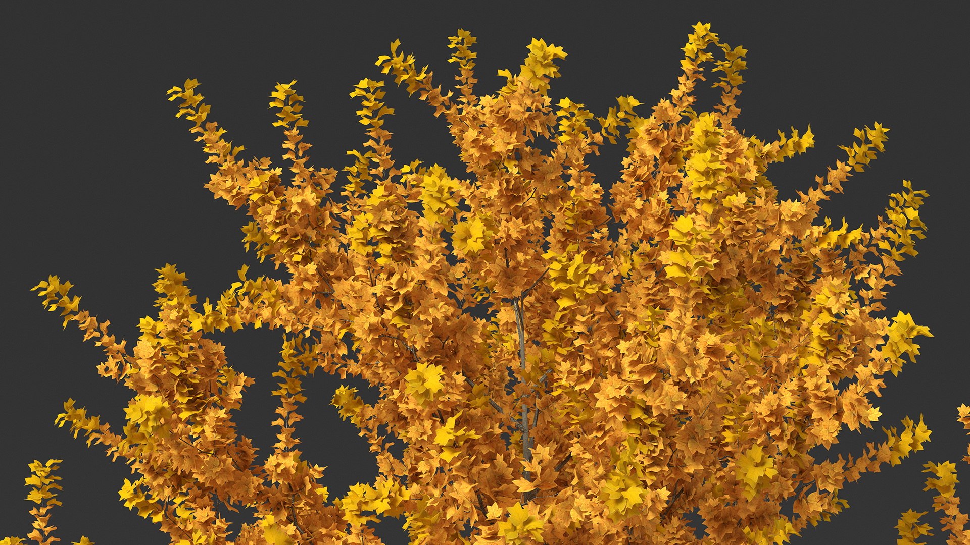 Autumn Yellow Poplar Tree Model - TurboSquid 2216613