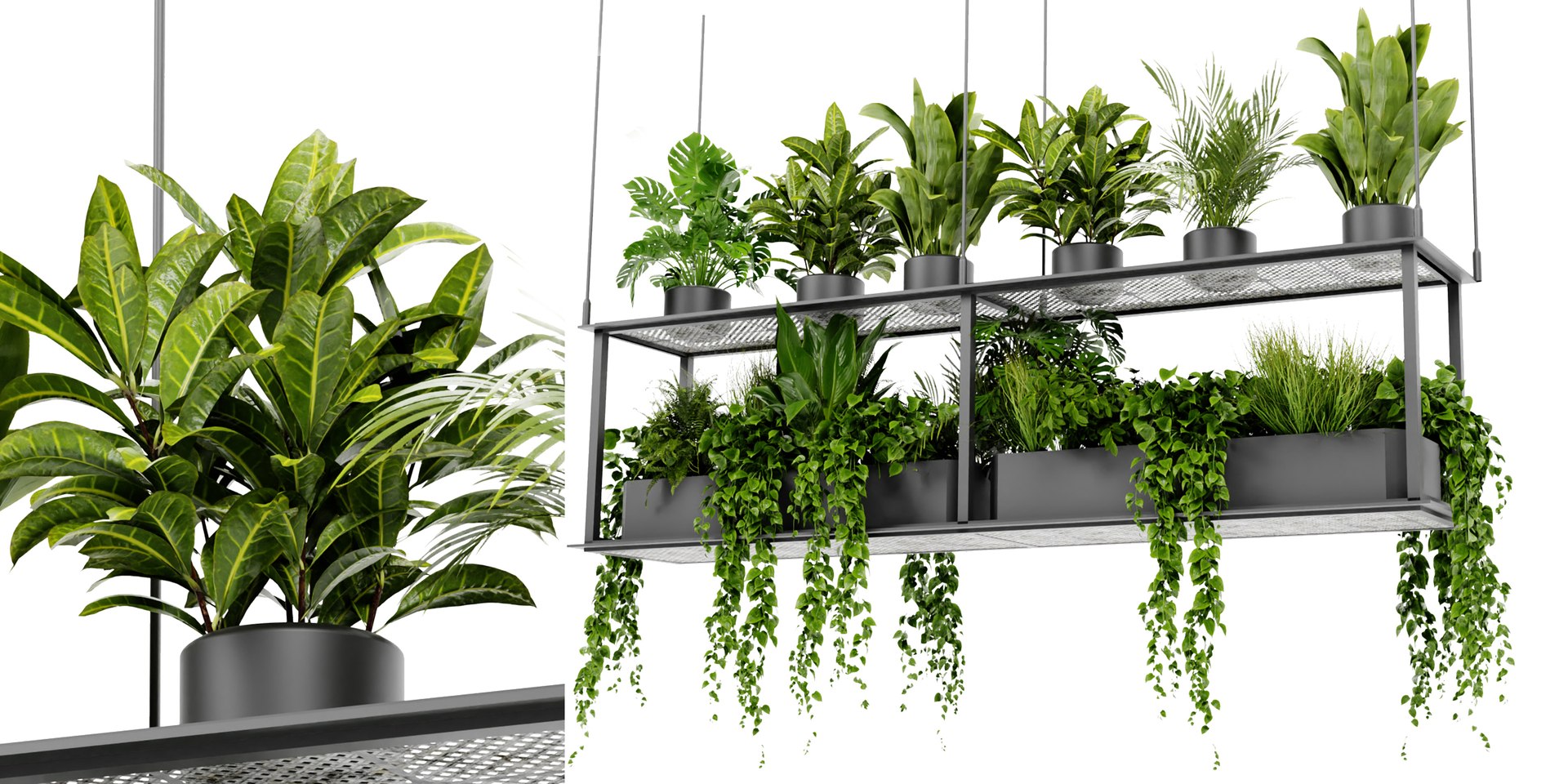 Collection Plant Vol 439 - Blender Model 3D Model - TurboSquid 2097163