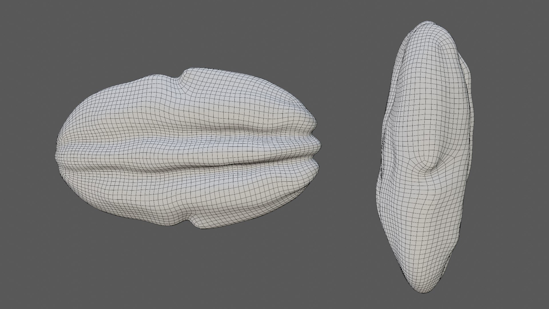 3D Pecan model - TurboSquid 1778932