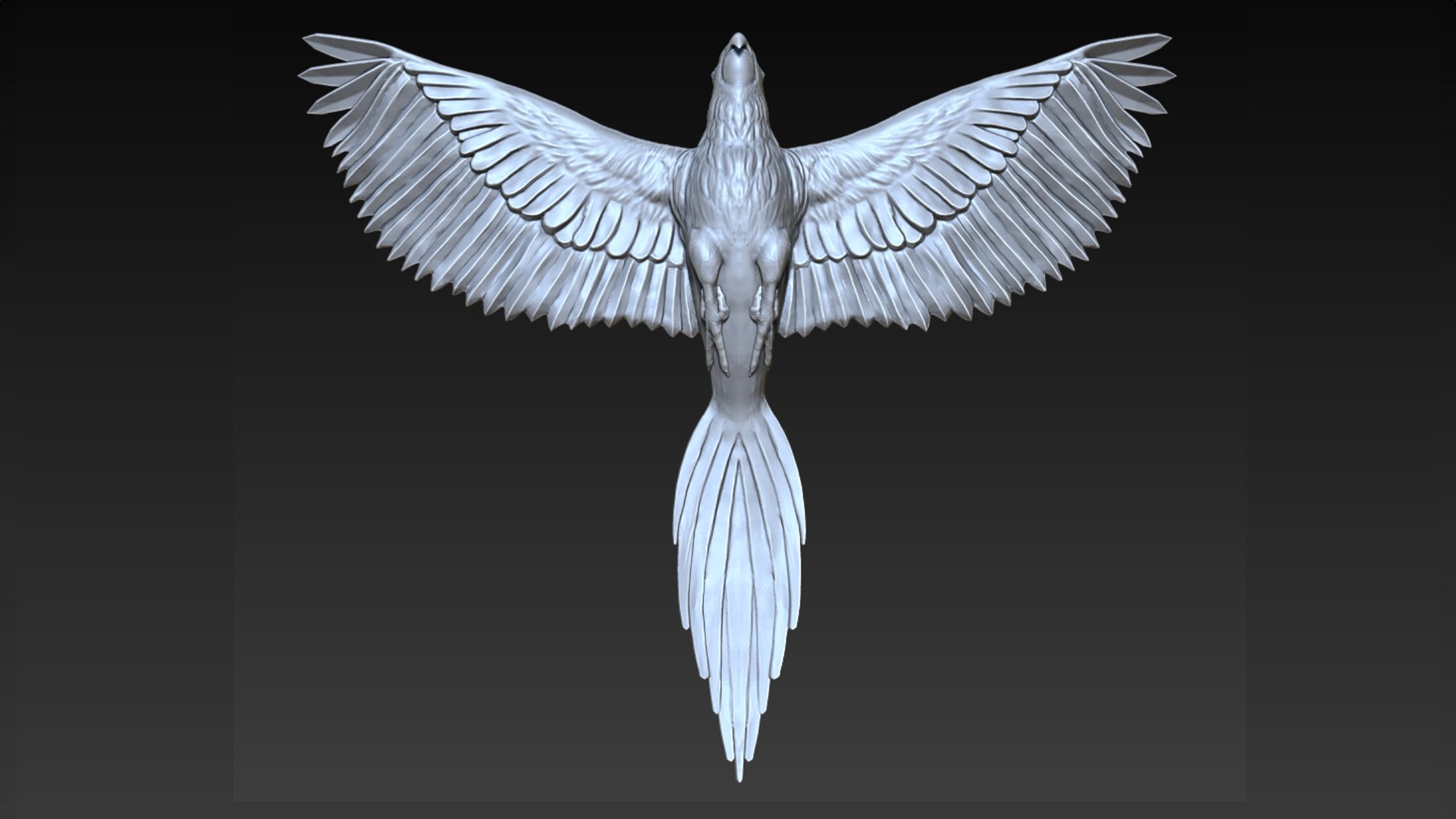 Parrot 3D Model - TurboSquid 2212834