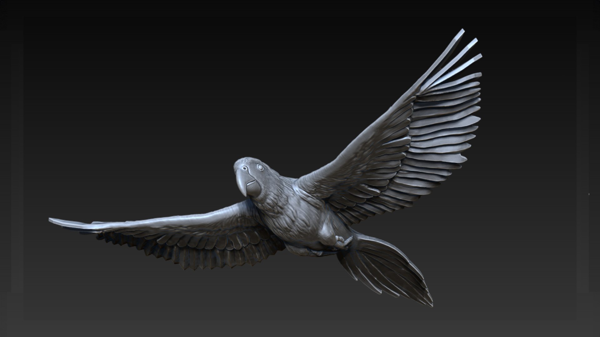 Parrot 3D Model - TurboSquid 2212834