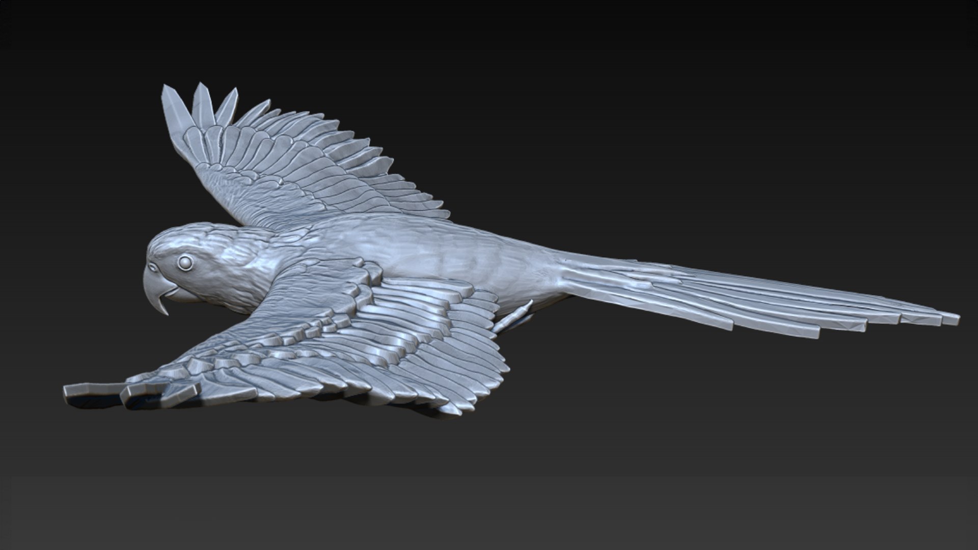 Parrot 3D Model - TurboSquid 2212834