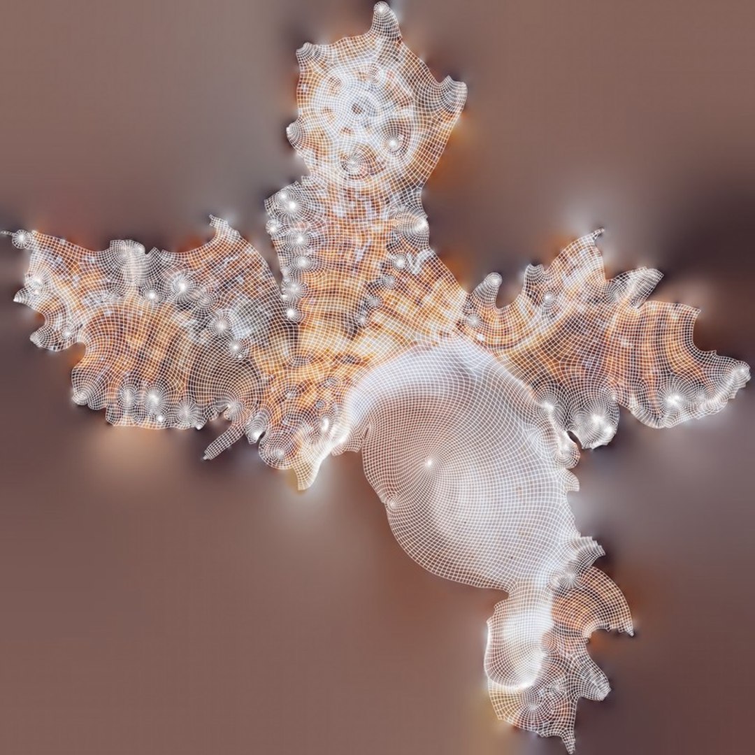 3D Lace Murex Chicoreus Dilectus Shell 24 - TurboSquid 2507215