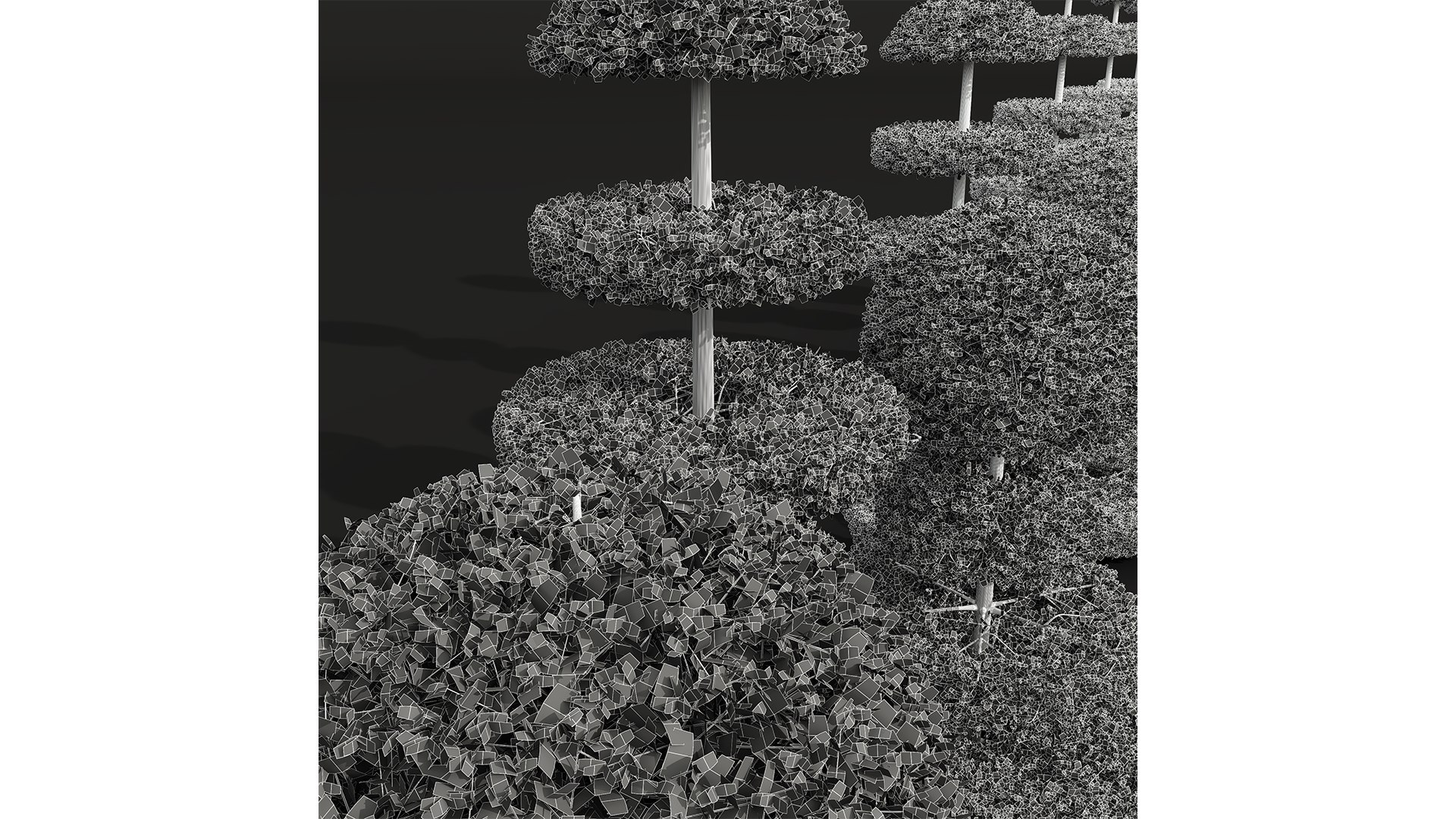 New Plant Ficus Concinna Bonsai Pruned13 Model - TurboSquid 2204698