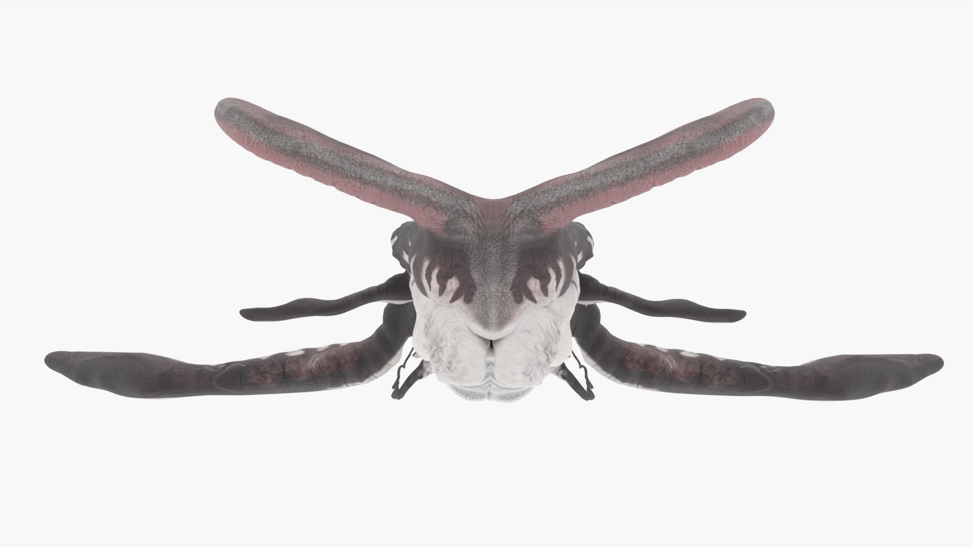 3D Payakan Tulkun From Avatar Rigged 3D Model - TurboSquid 2013151