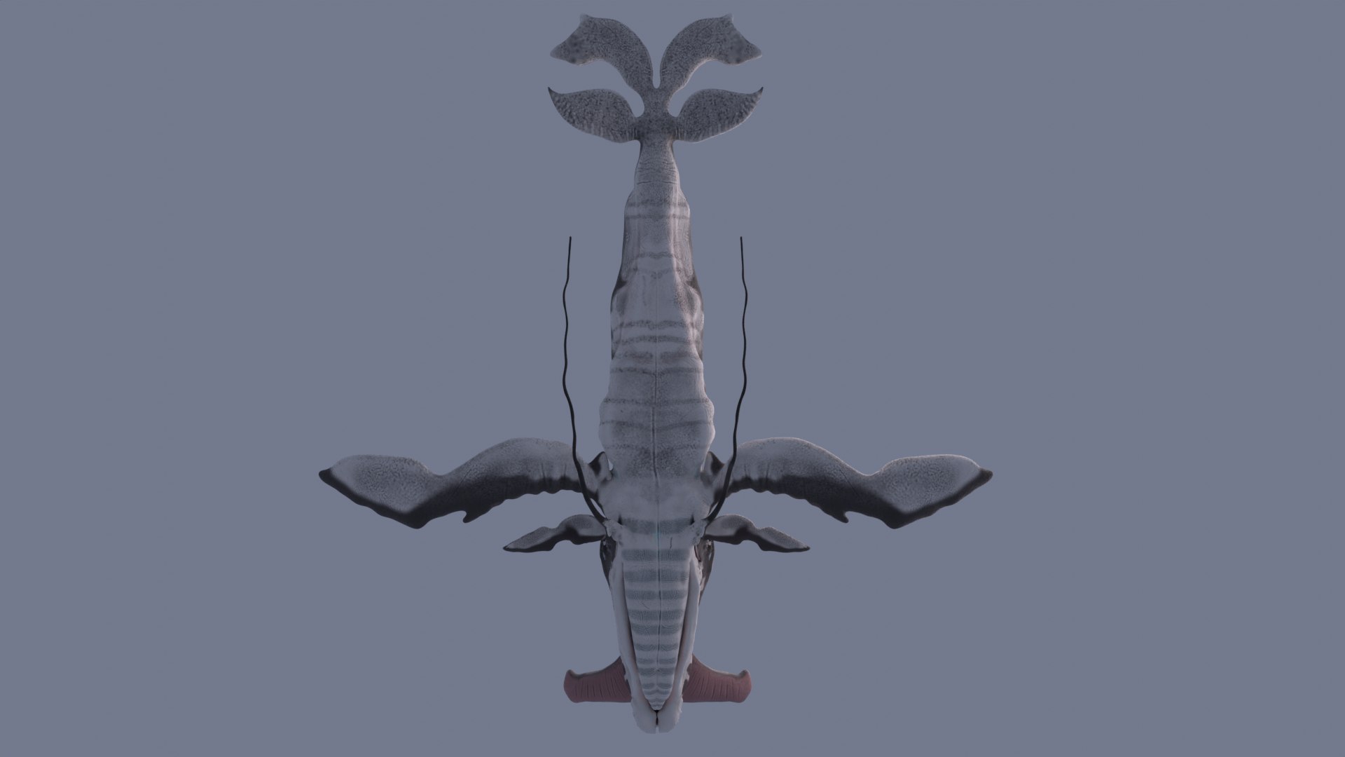 3D Payakan Tulkun From Avatar Rigged 3D Model - TurboSquid 2013151