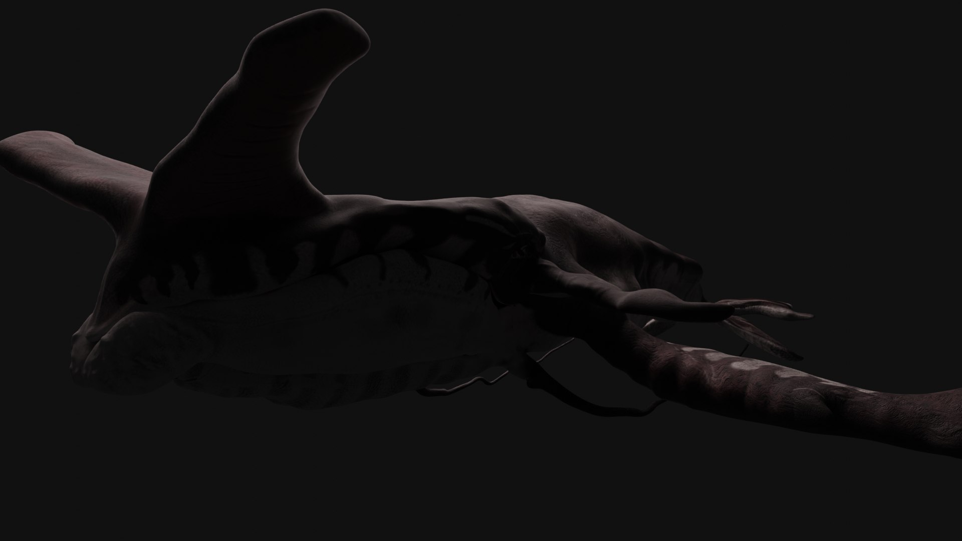 3D Payakan Tulkun From Avatar Rigged 3D Model - TurboSquid 2013151