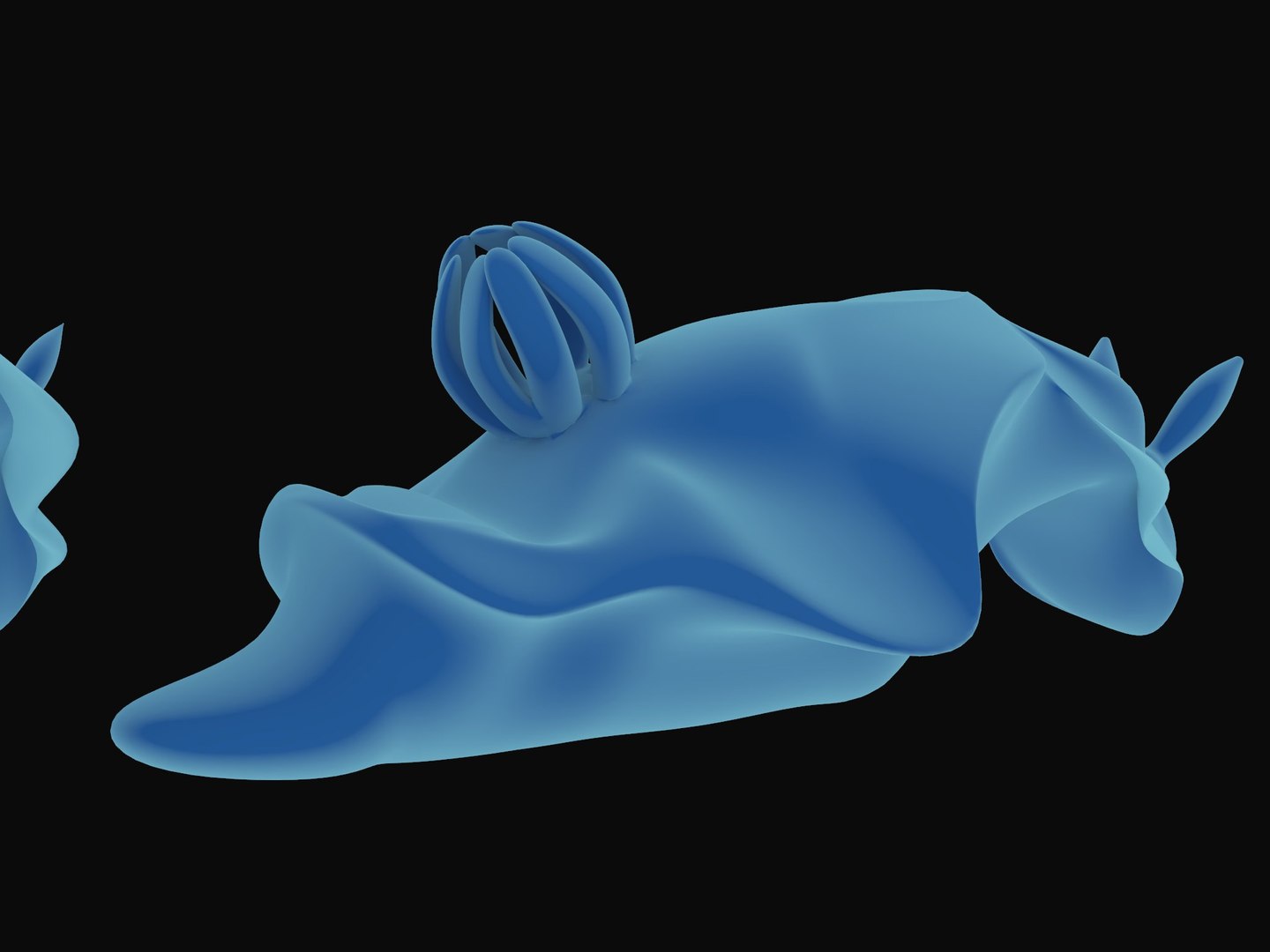 Sea Slug 3D - TurboSquid 1994281