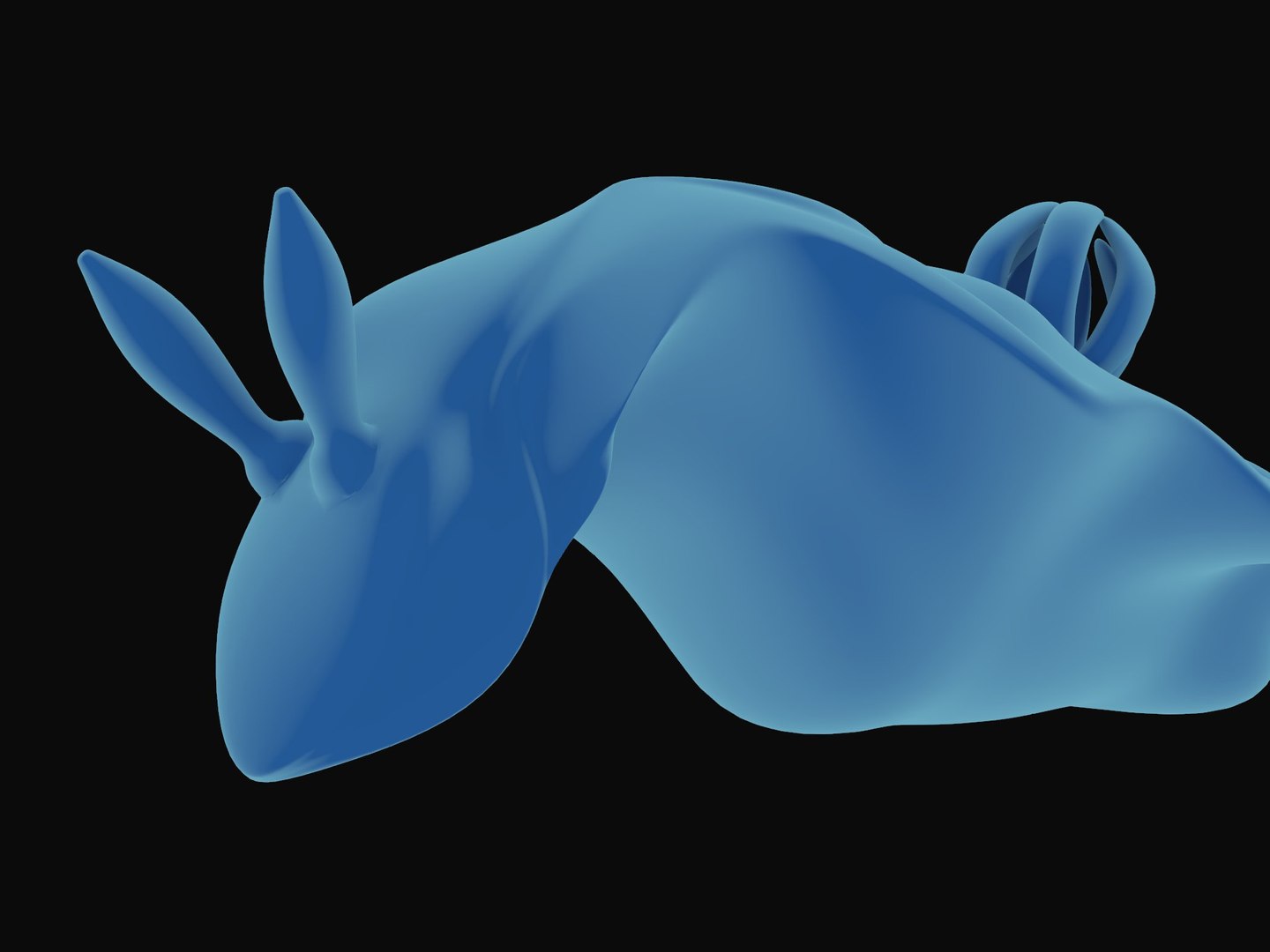 Sea Slug 3D - TurboSquid 1994281