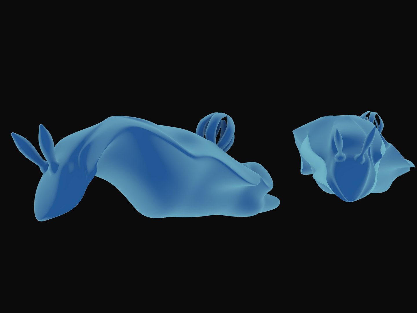 Sea Slug 3D - TurboSquid 1994281