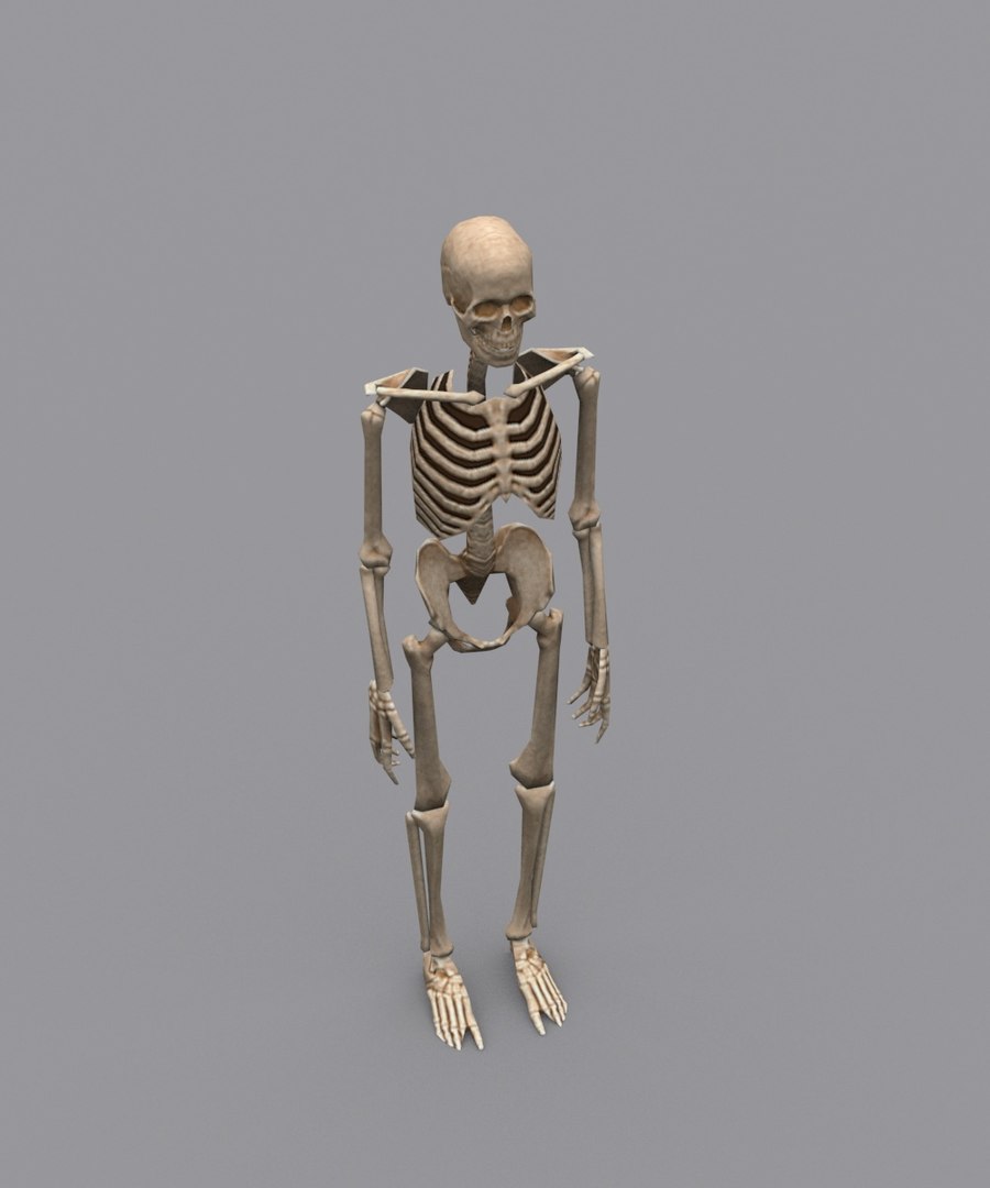 Skeleton Mobile Rigged 3D Model - TurboSquid 1453677